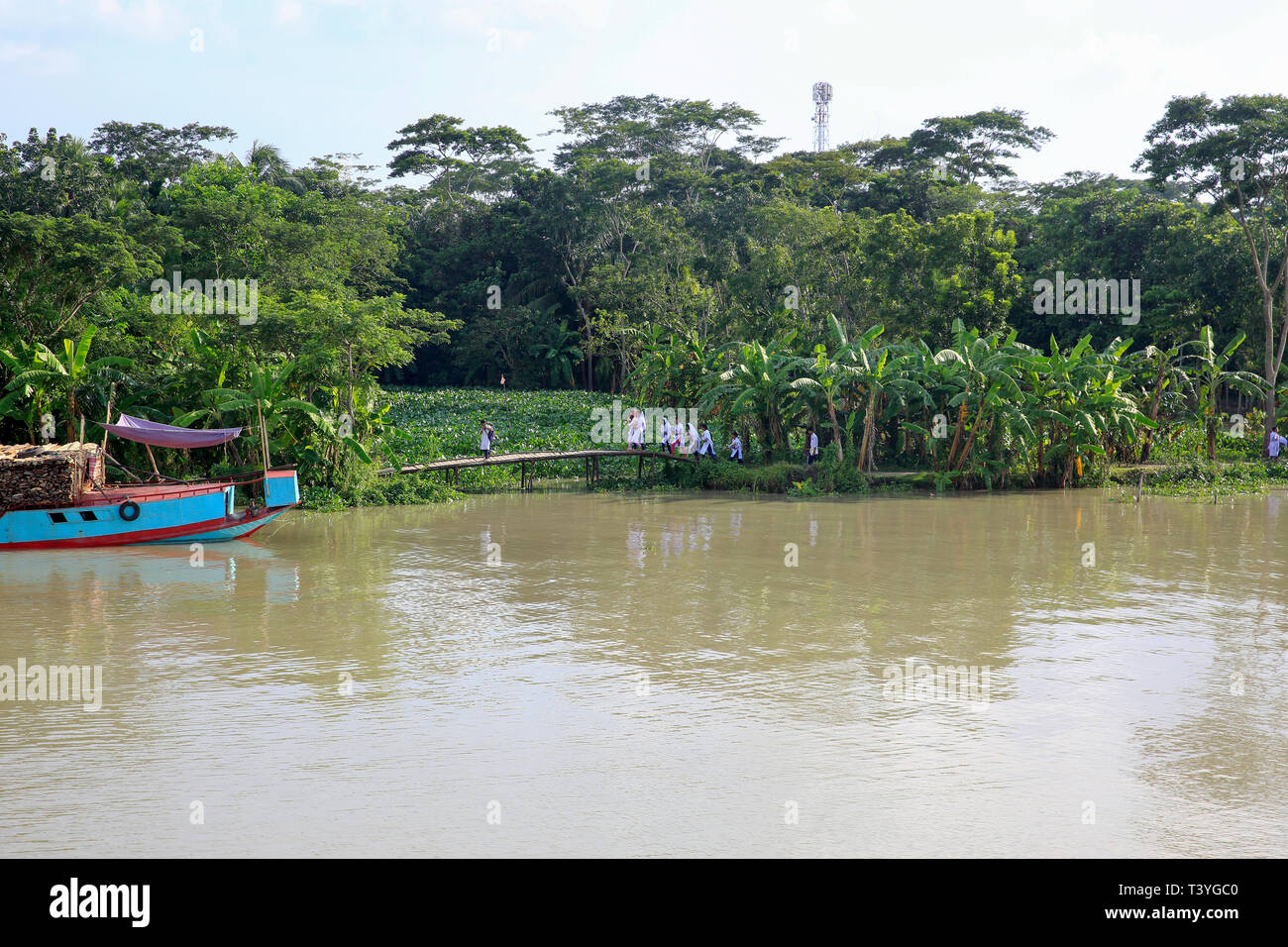 Life around the Sondha River. Pirojpur, Bangladesh Stock Photo - Alamy