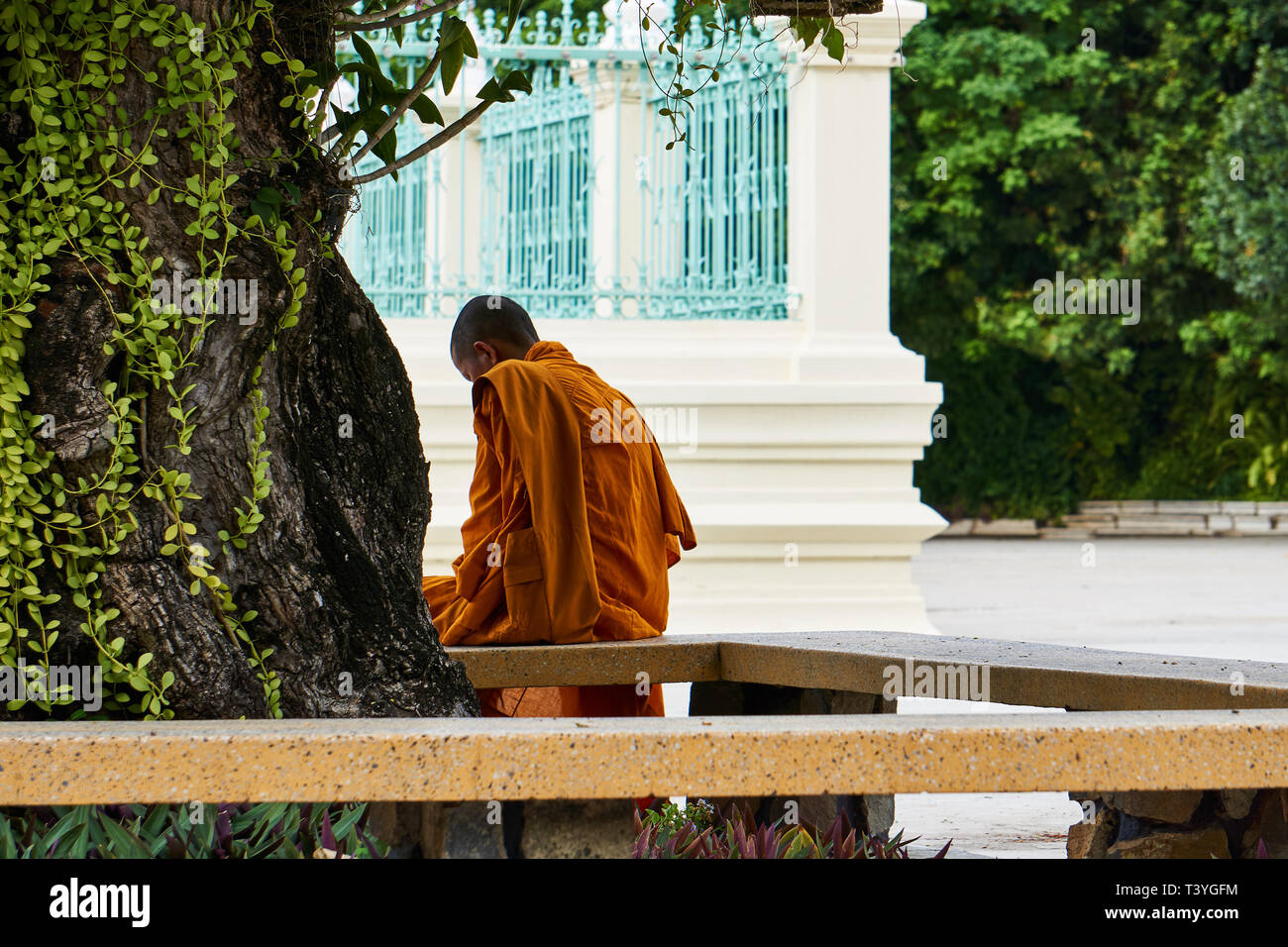 Buddhist monk in traditional orange robes and with a shaved head sits ...