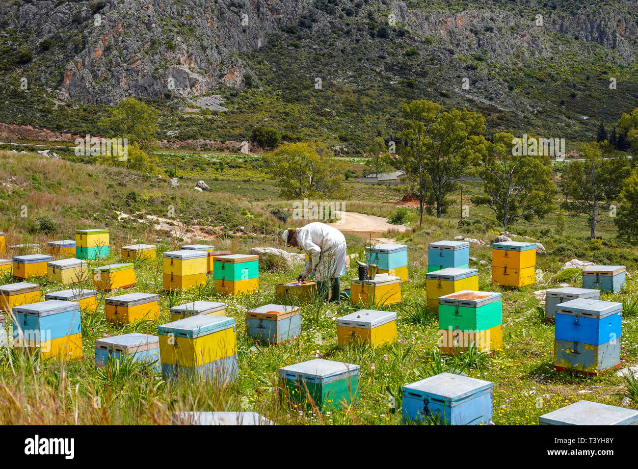 Beekeeper boxes hi-res stock photography and images - Alamy