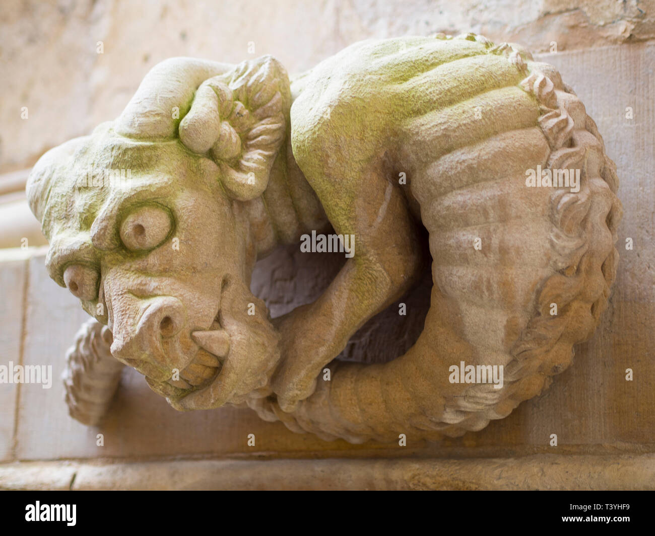 Lincoln cathedral gargoyle hi-res stock photography and images - Alamy