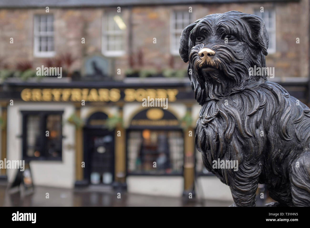 Scotland, Edinburgh, Greyfriars Bobby. Greyfriars Bobby, the famous ...
