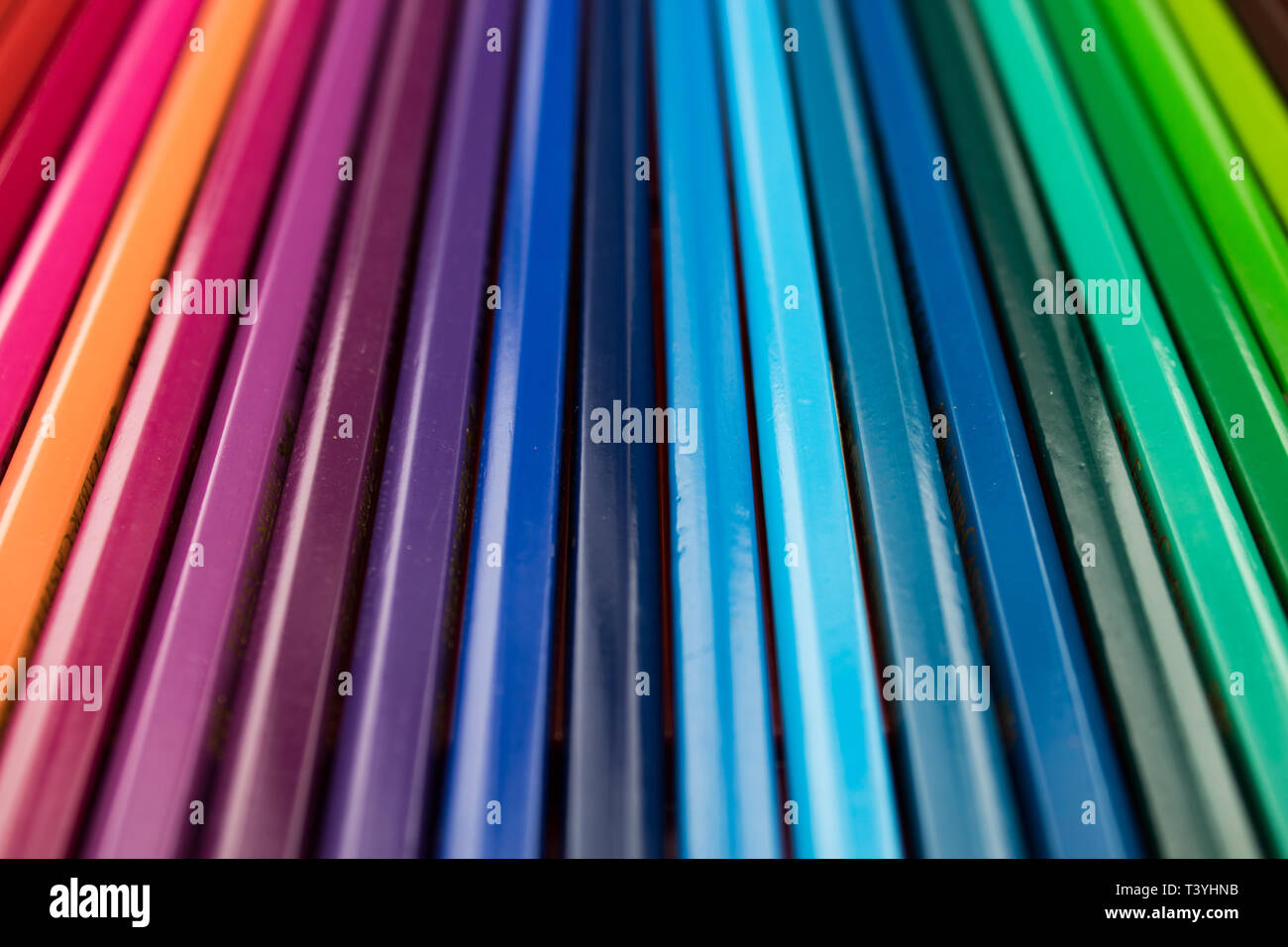 Set of color pencils inside the box. Back to school Stock Photo - Alamy