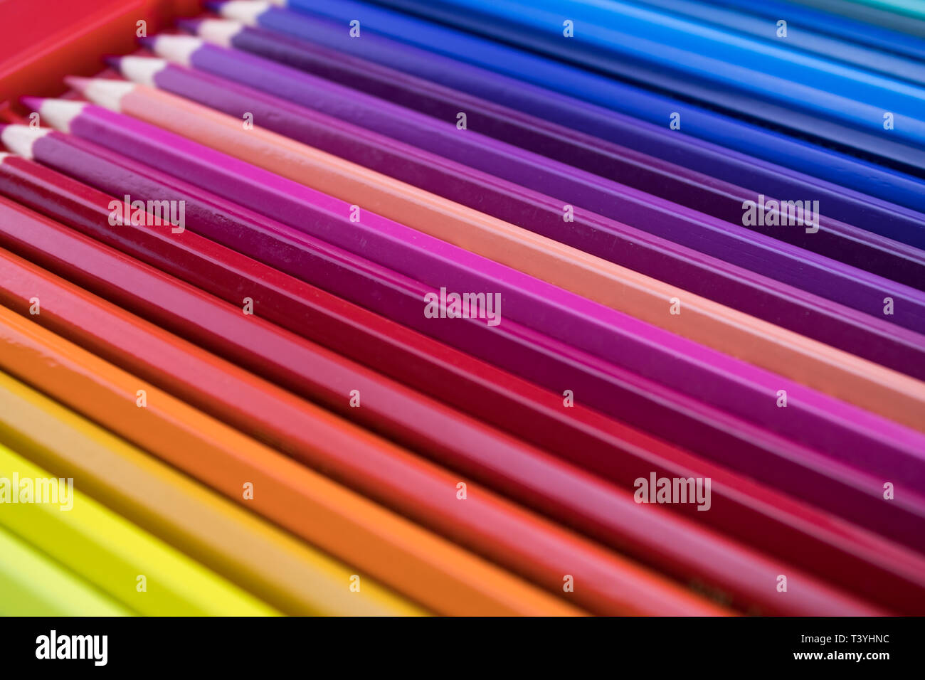 Set of color pencils inside the box. Back to school Stock Photo - Alamy