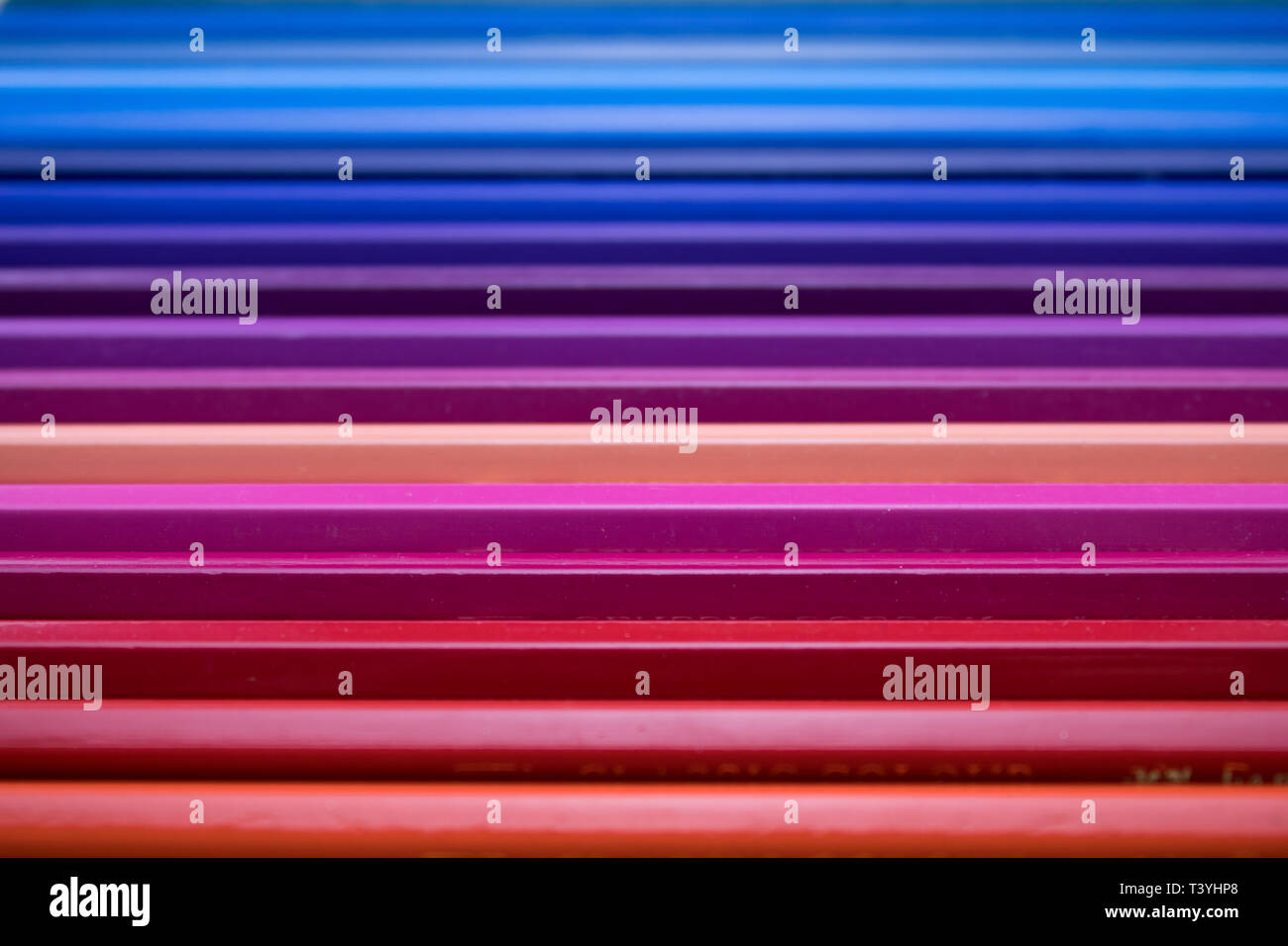 Set of color pencils inside the box. Back to school Stock Photo - Alamy