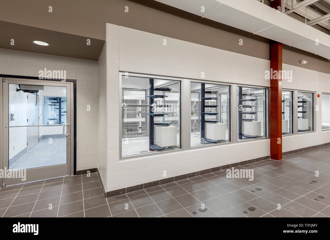 Glass viewing area windows of animal shelter Stock Photo - Alamy