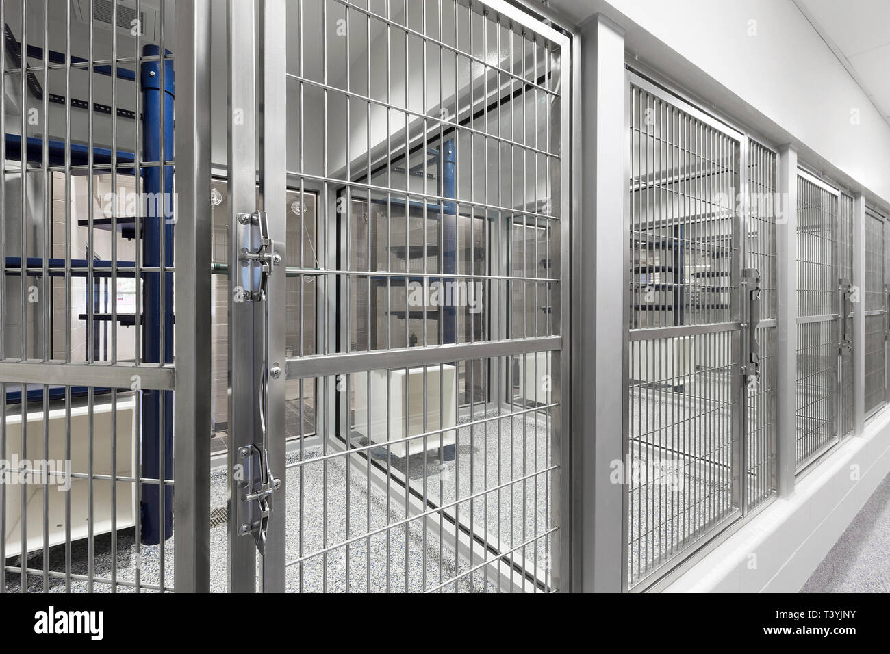 Glass viewing area windows of empty cages in animal shelter Stock Photo ...