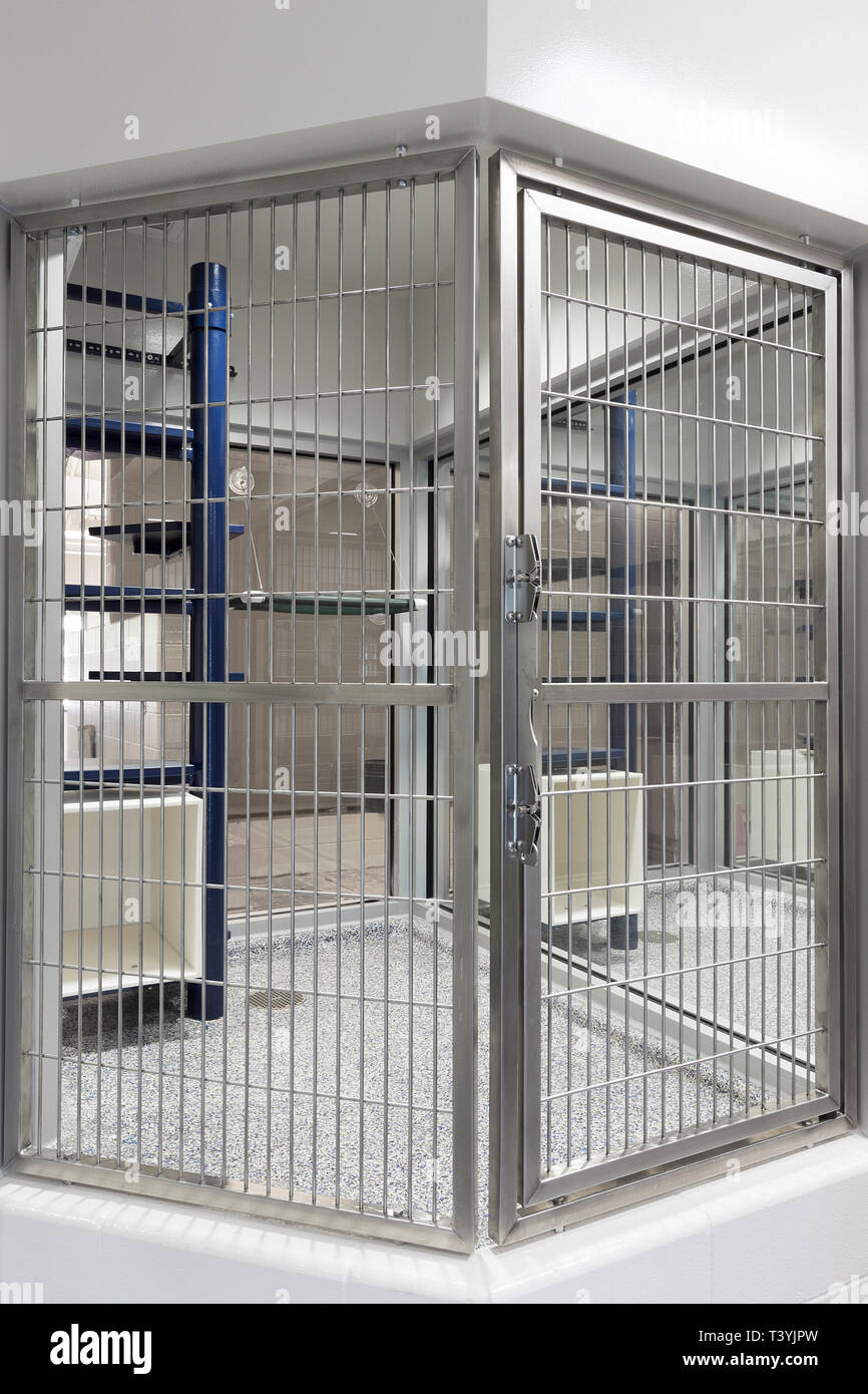 Metal doors of empty cage in animal shelter Stock Photo - Alamy