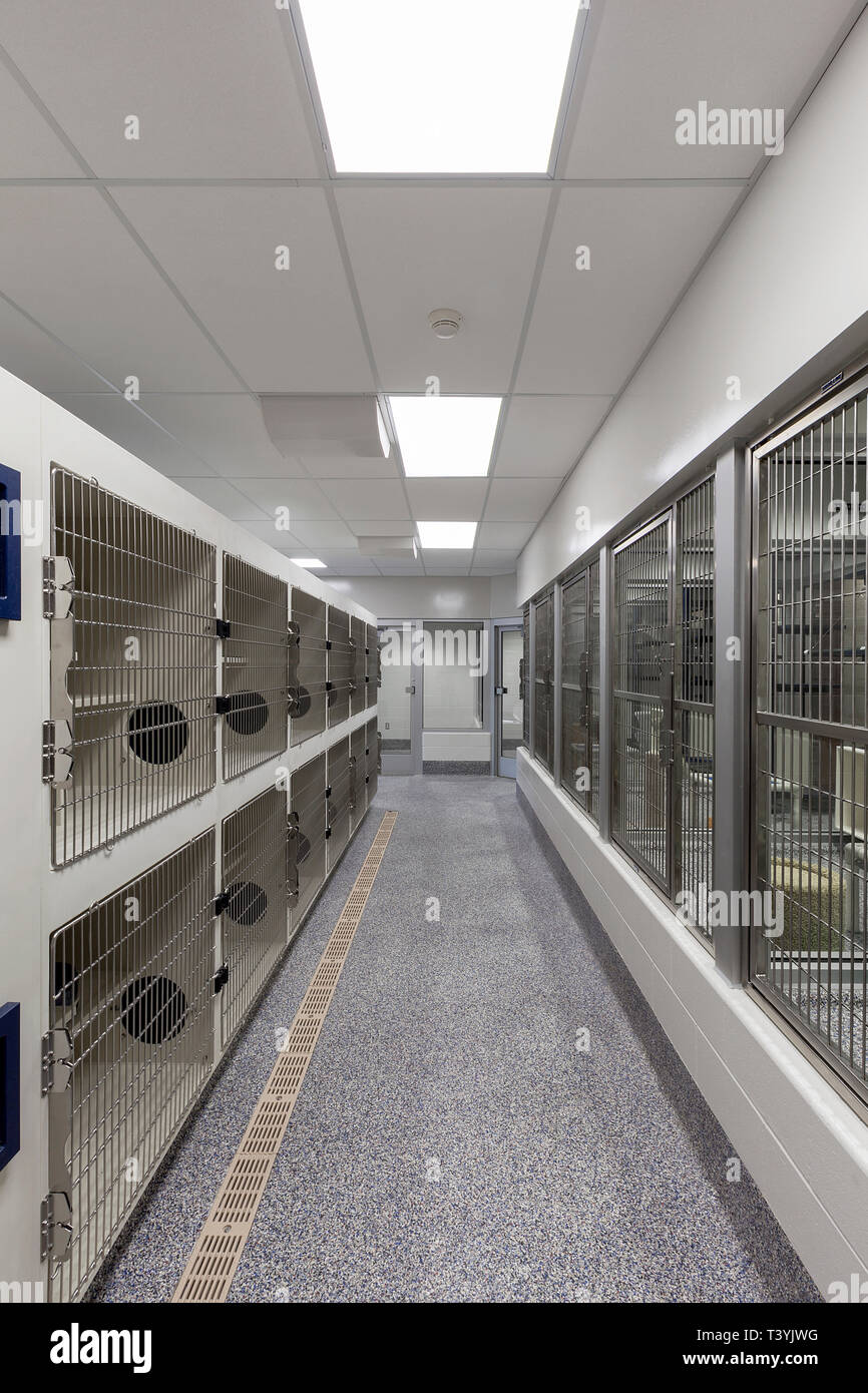 Metal doors of empty cages in empty animal shelter Stock Photo - Alamy