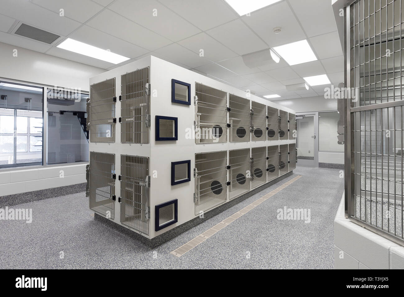 Metal doors of empty cages in animal shelter Stock Photo - Alamy