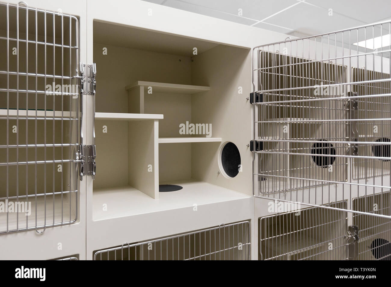 Metal doors of empty cages in animal shelter Stock Photo - Alamy