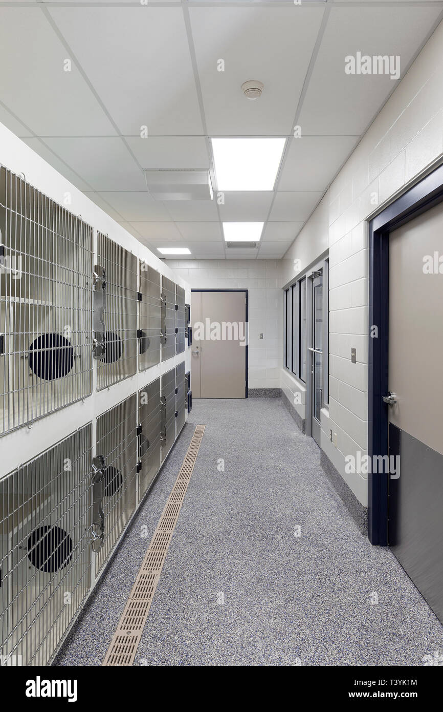 Metal doors of empty cages in animal shelter Stock Photo - Alamy