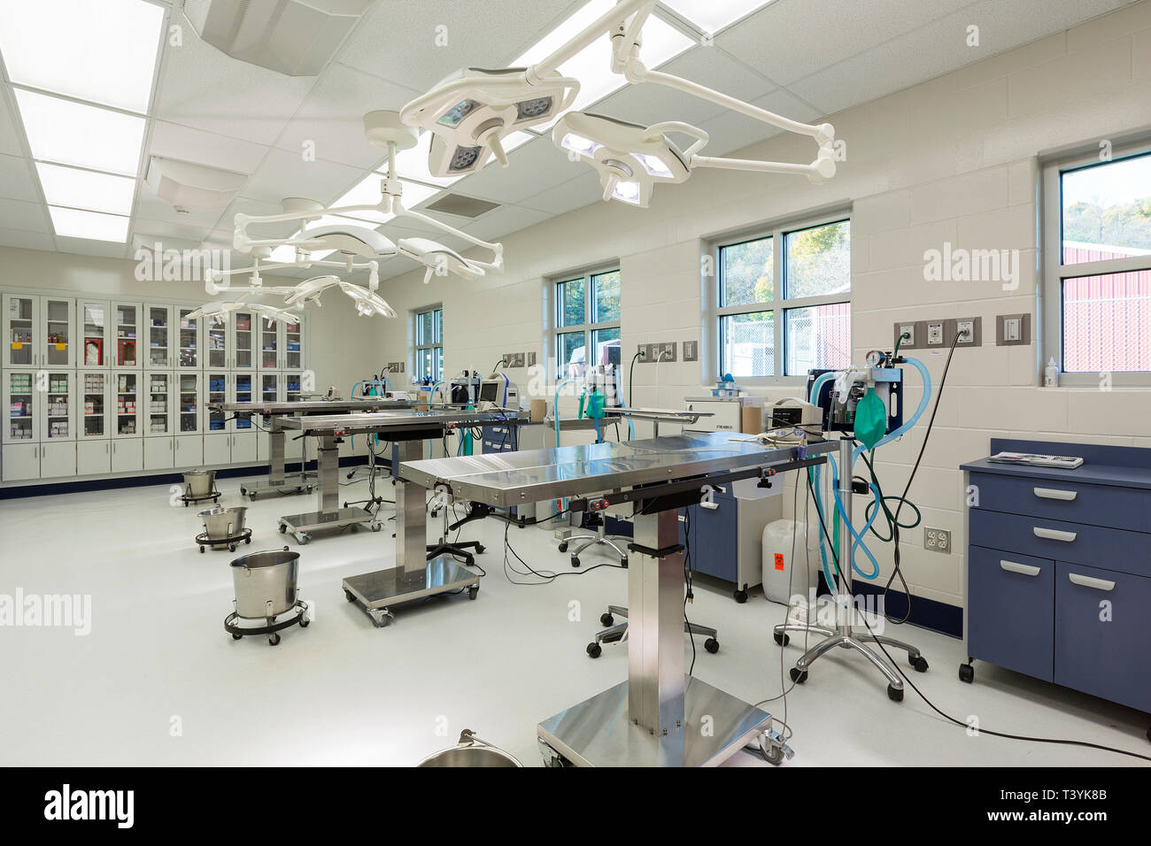Examining tables in empty animal hospital Stock Photo - Alamy