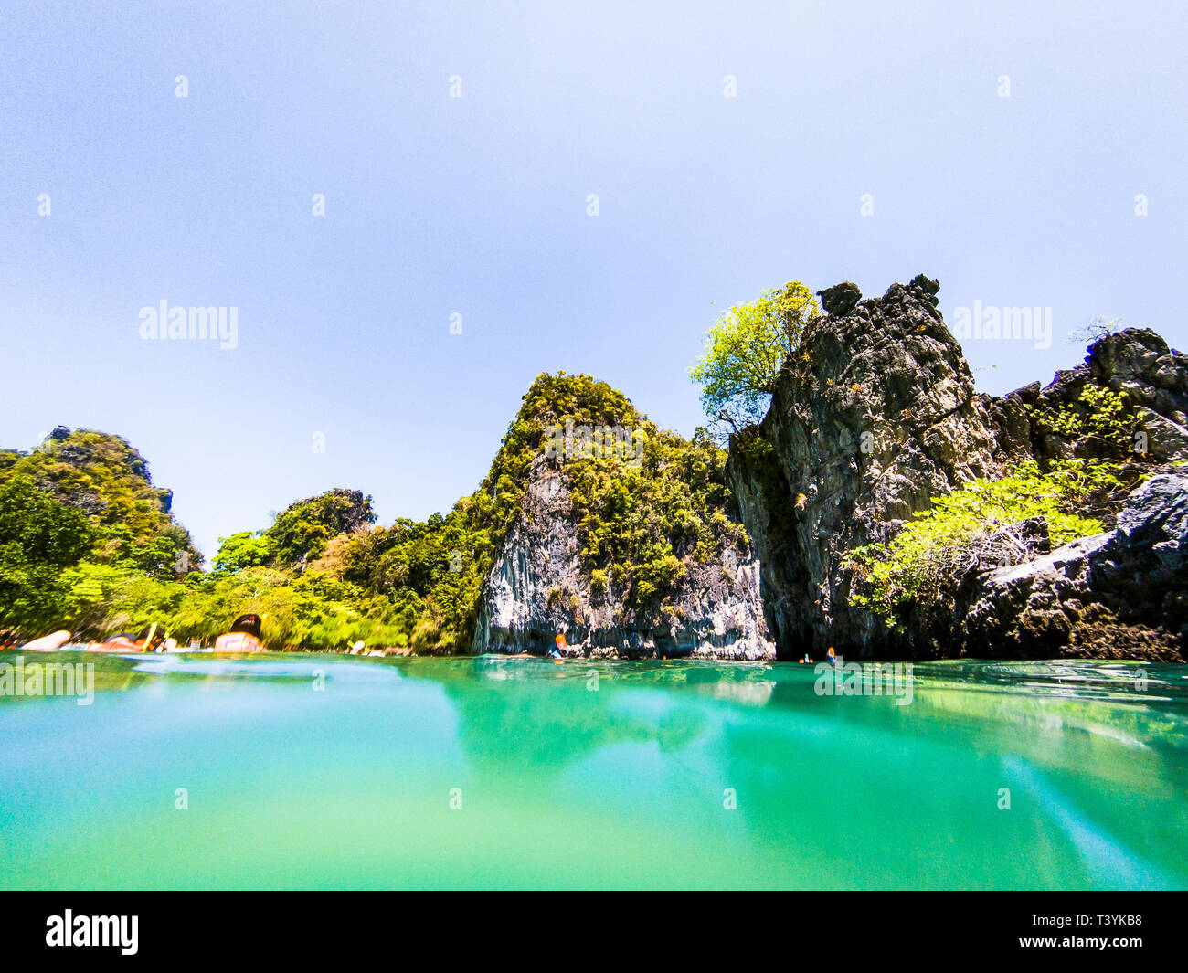 split underwater view of tropical beach Stock Photo - Alamy