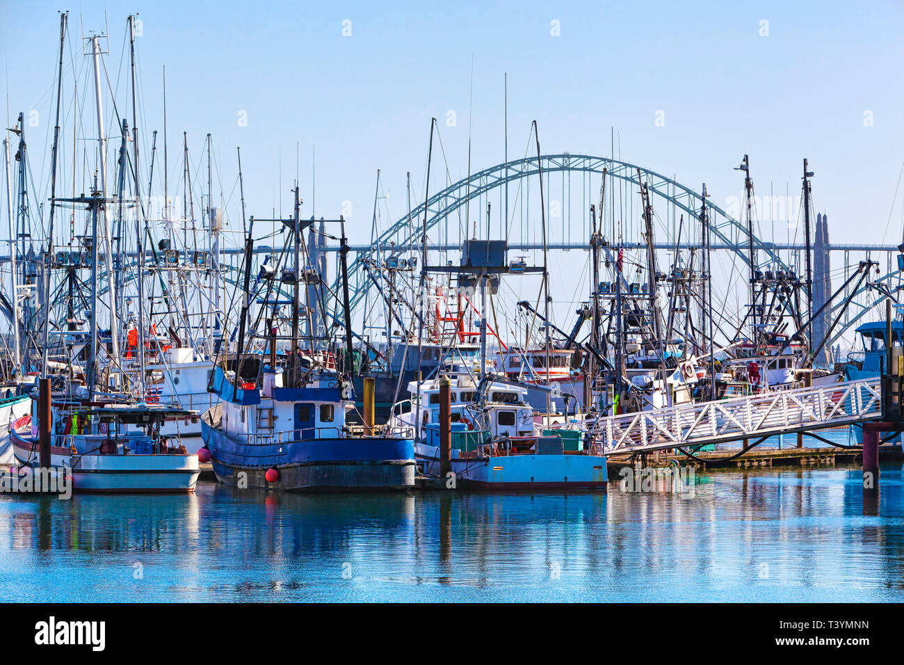 Boats mooring in harbor, Newport, Oregon, United States Stock Photo - Alamy