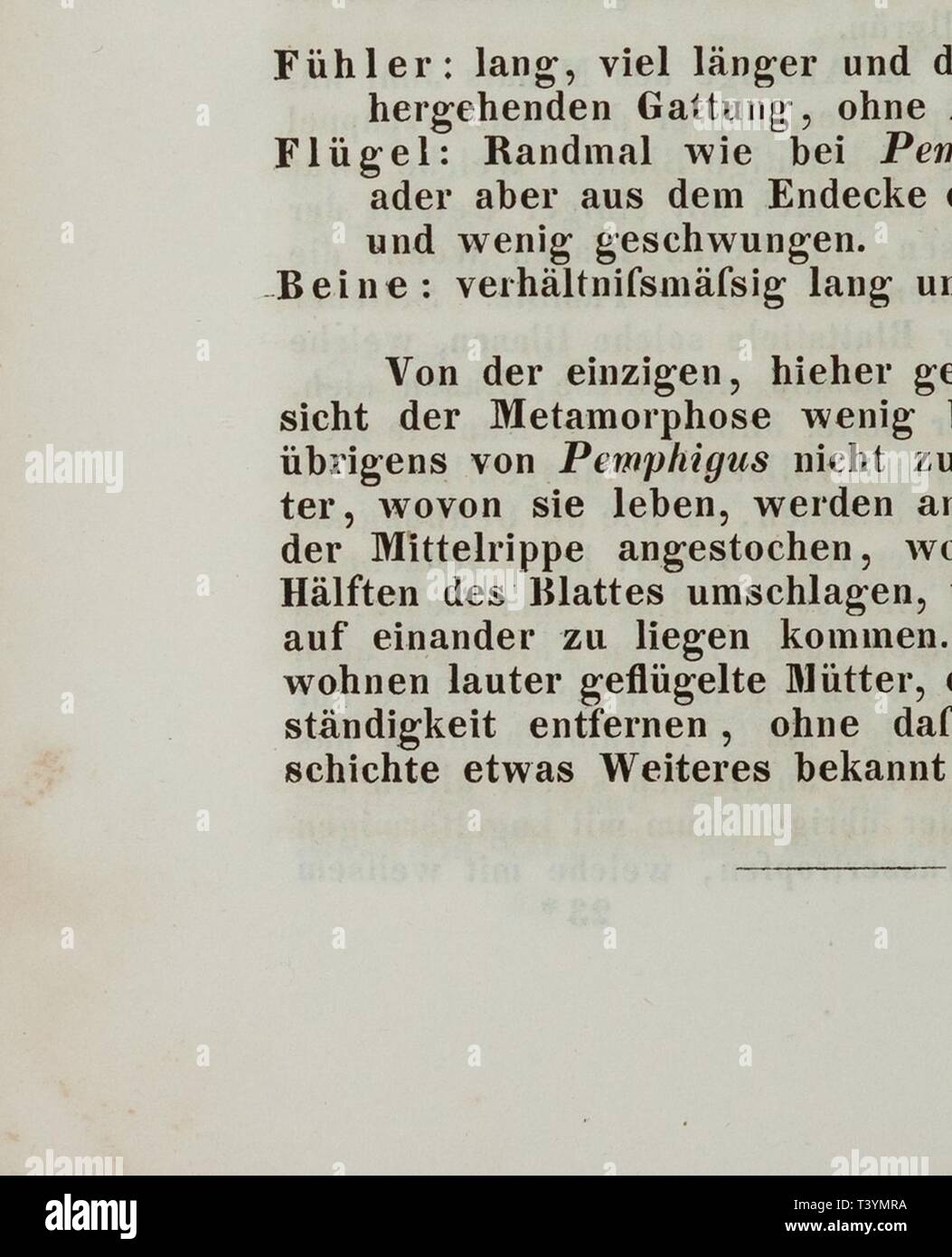 Archive image from page 439 of Die Pflanzenlause Aphiden getreu. Die ...