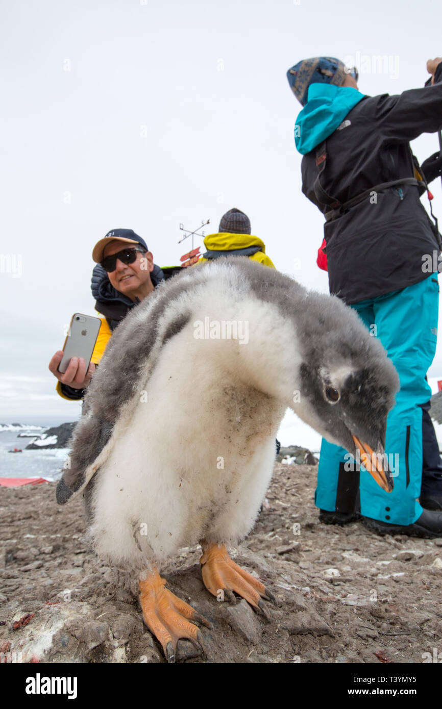 Mobile antarctic base hi-res stock photography and images - Alamy
