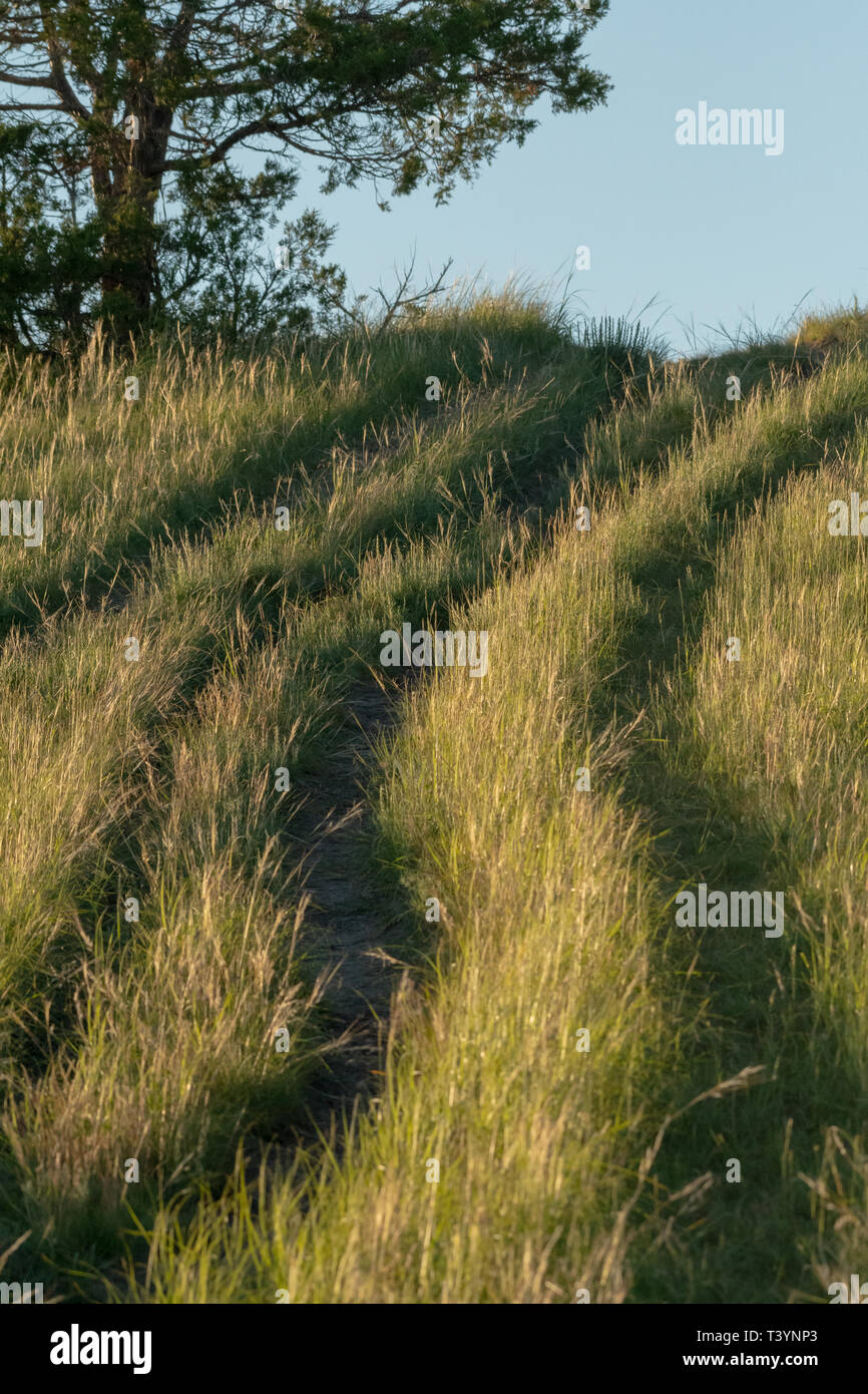 Wagon ruts hi-res stock photography and images - Alamy