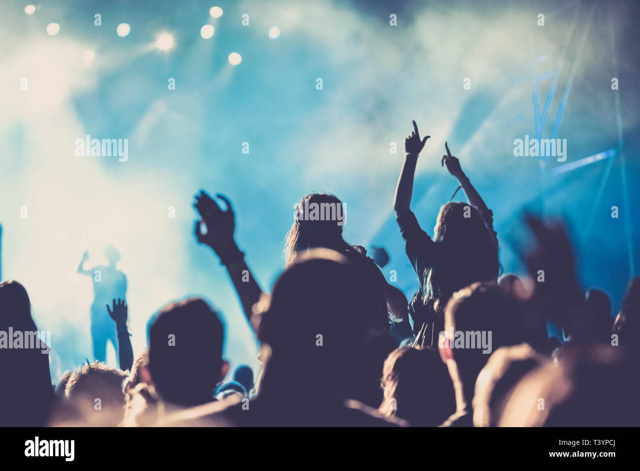 cheering crowd with raised hands at concert - music festival Stock ...