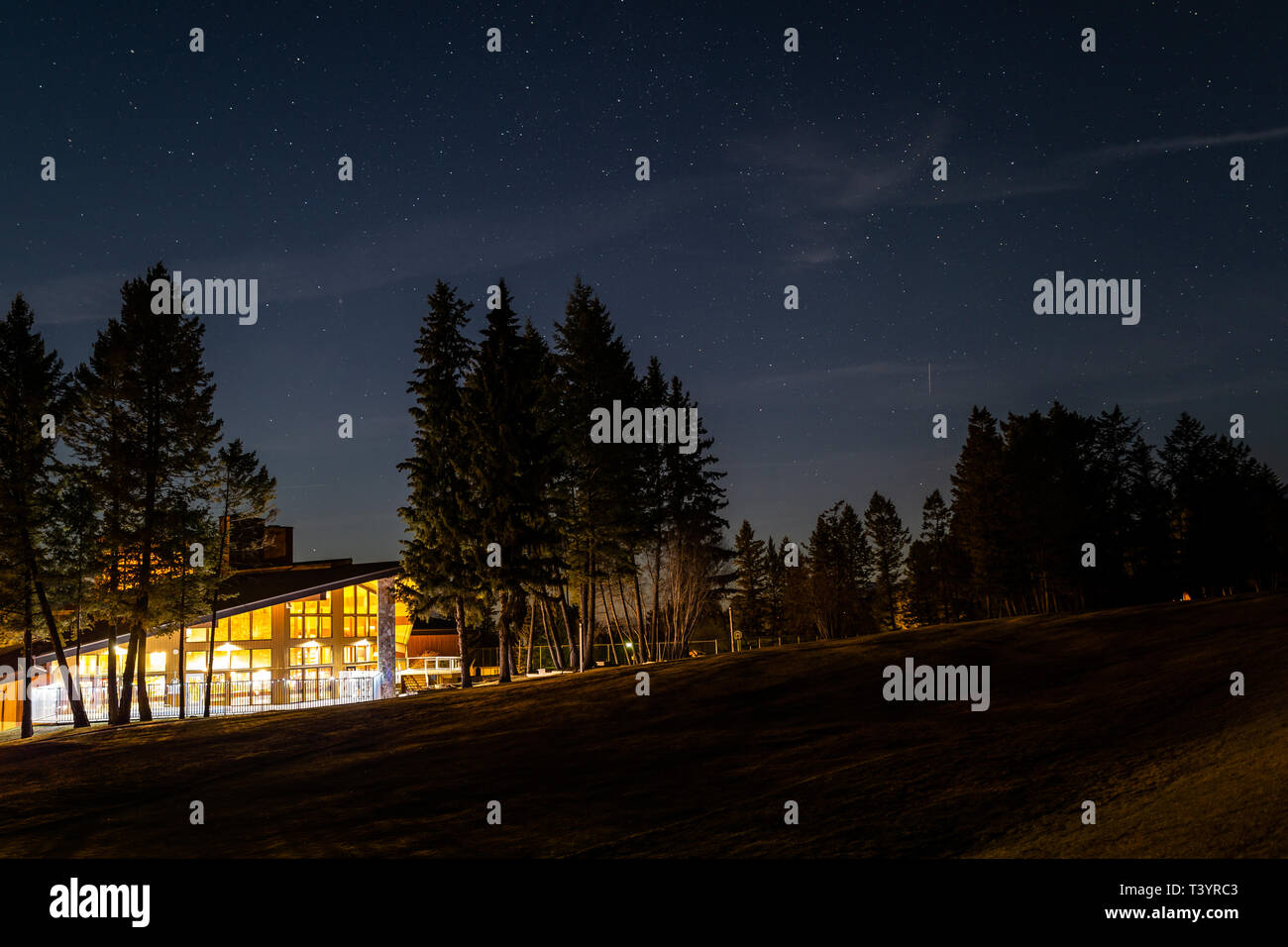 Night landscape with stars on the sky at springtime Stock Photo - Alamy