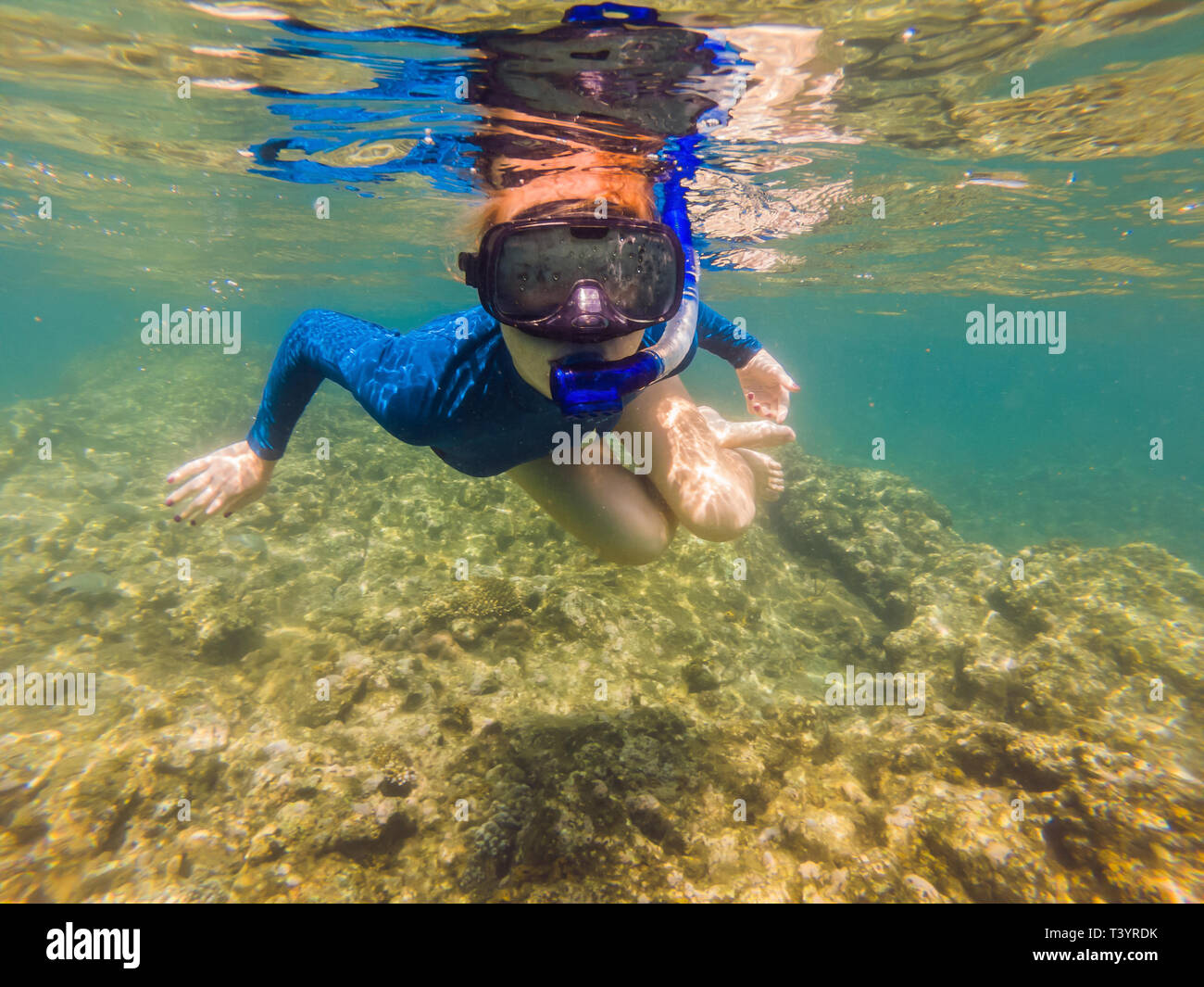 Woman Snorkeling Underwater High Resolution Stock Photography and ...