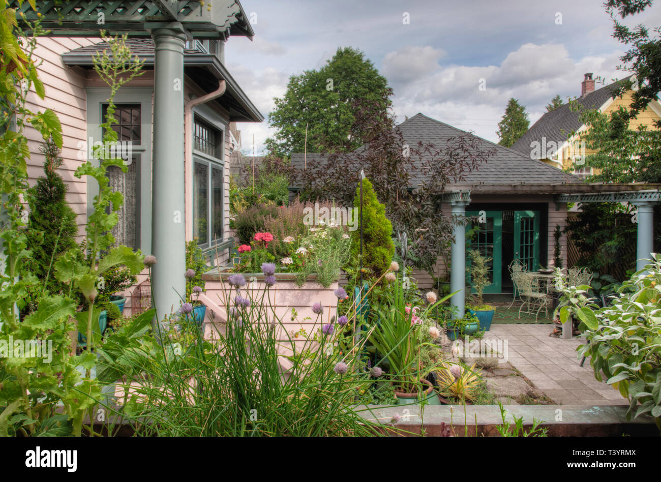 Plants growing in courtyard garden Stock Photo - Alamy