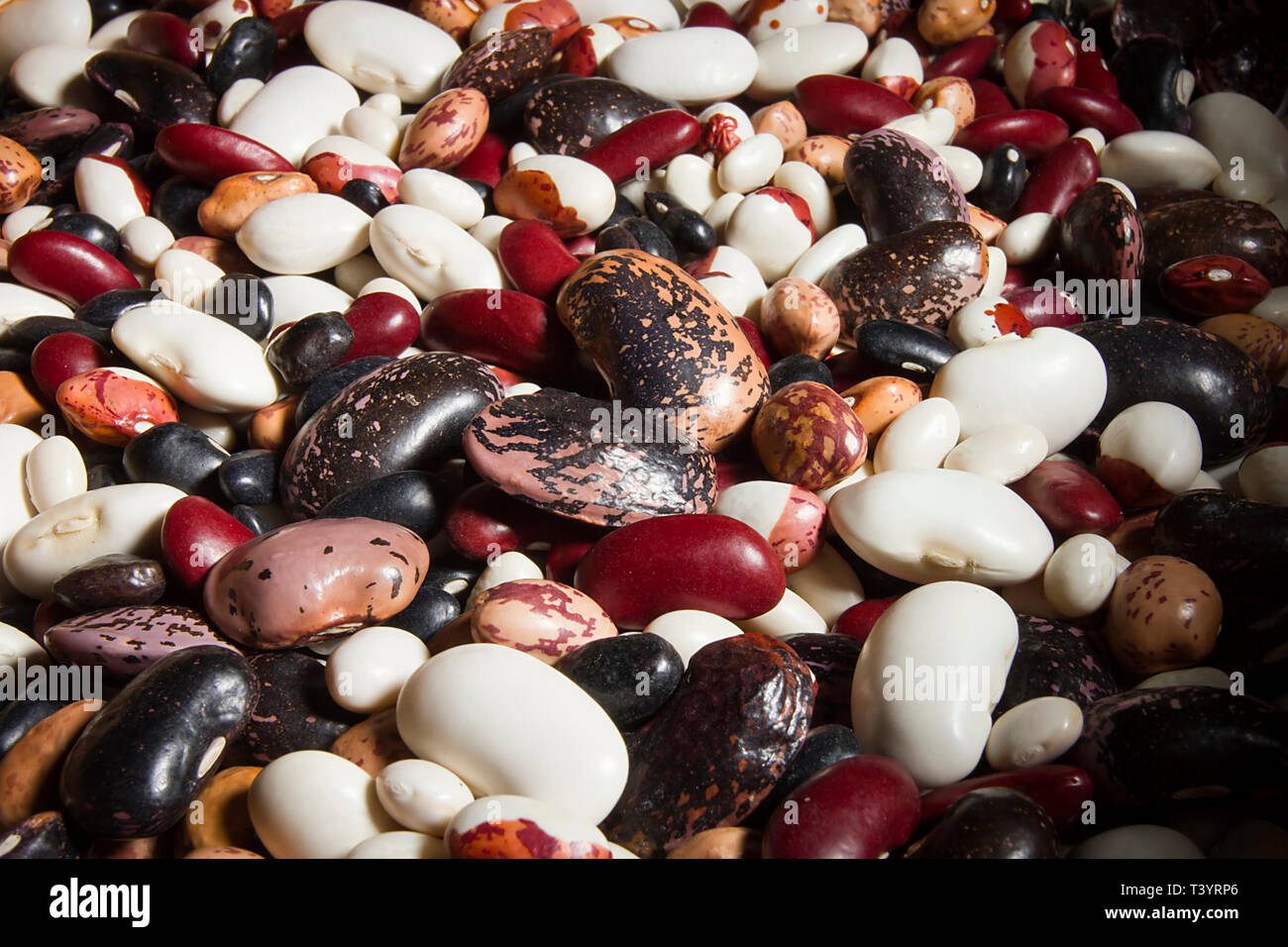 Mix of different in size and color of beans Stock Photo - Alamy