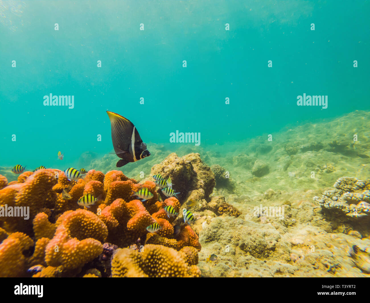Salt scar hi-res stock photography and images - Alamy