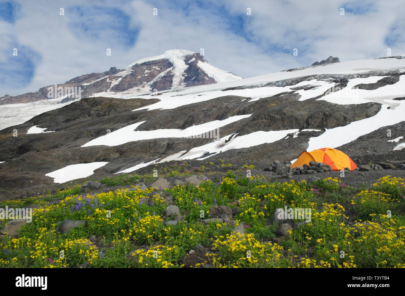 Tent at campsite in remote landscape Stock Photo - Alamy