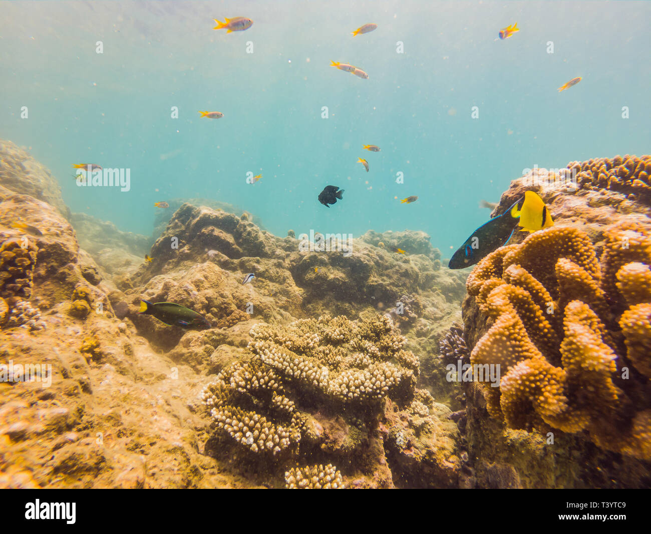 Salt scar hi-res stock photography and images - Alamy