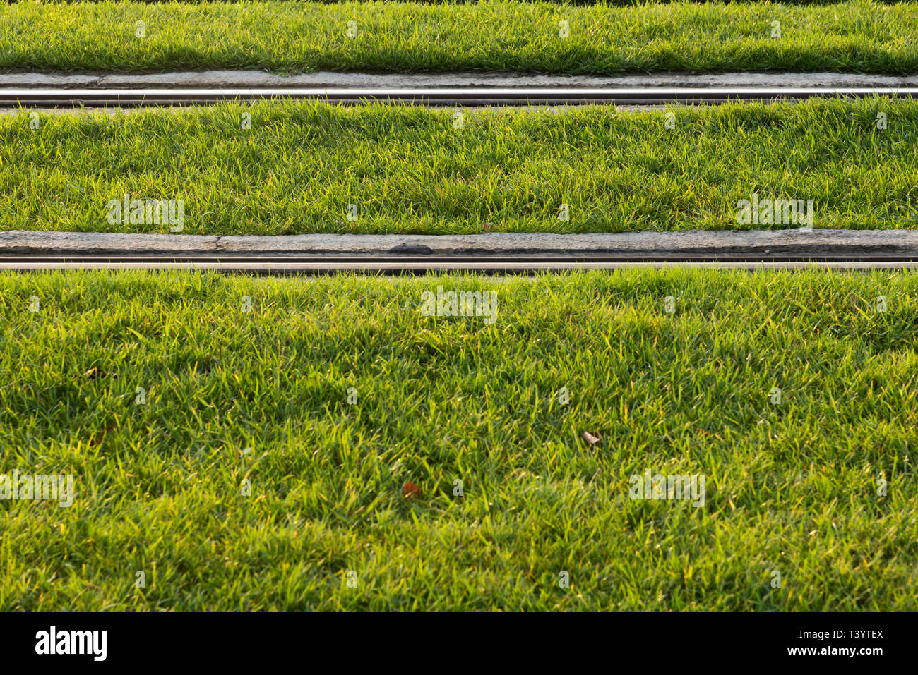 Tram rails with grass in Izmir Turkey Stock Photo - Alamy