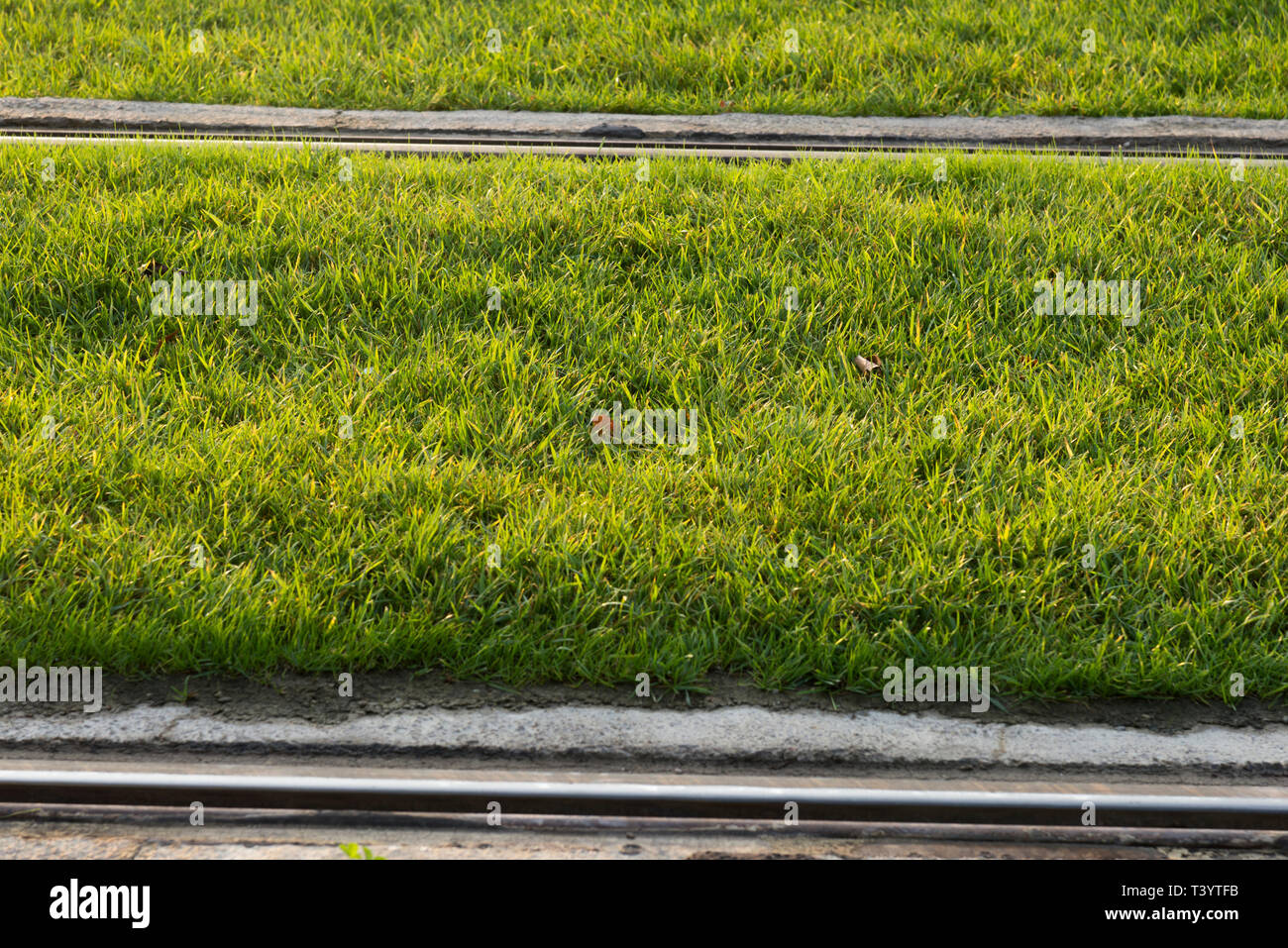 Old tram rails close hi-res stock photography and images - Alamy