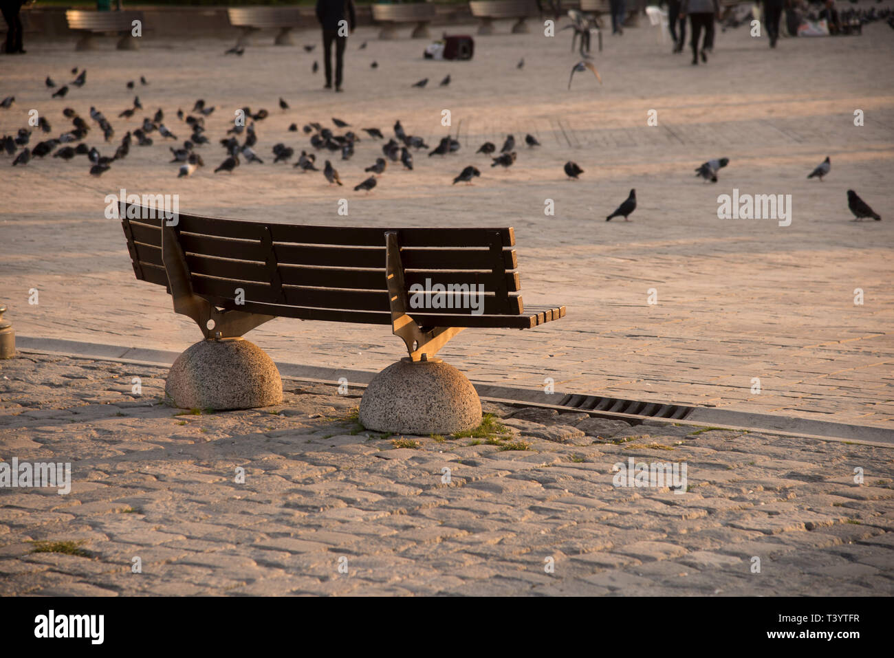 Bench in a park from behind Stock Photo - Alamy