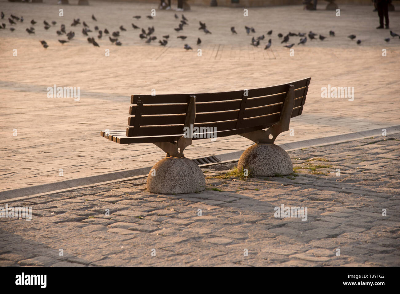 Bench in a park from behind Stock Photo - Alamy