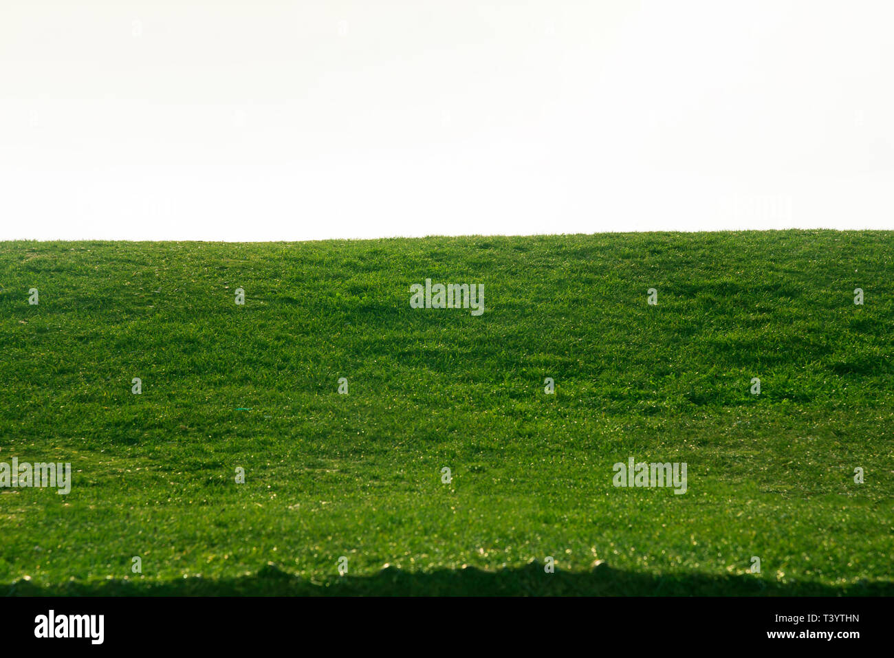 Grass textured background Stock Photo - Alamy