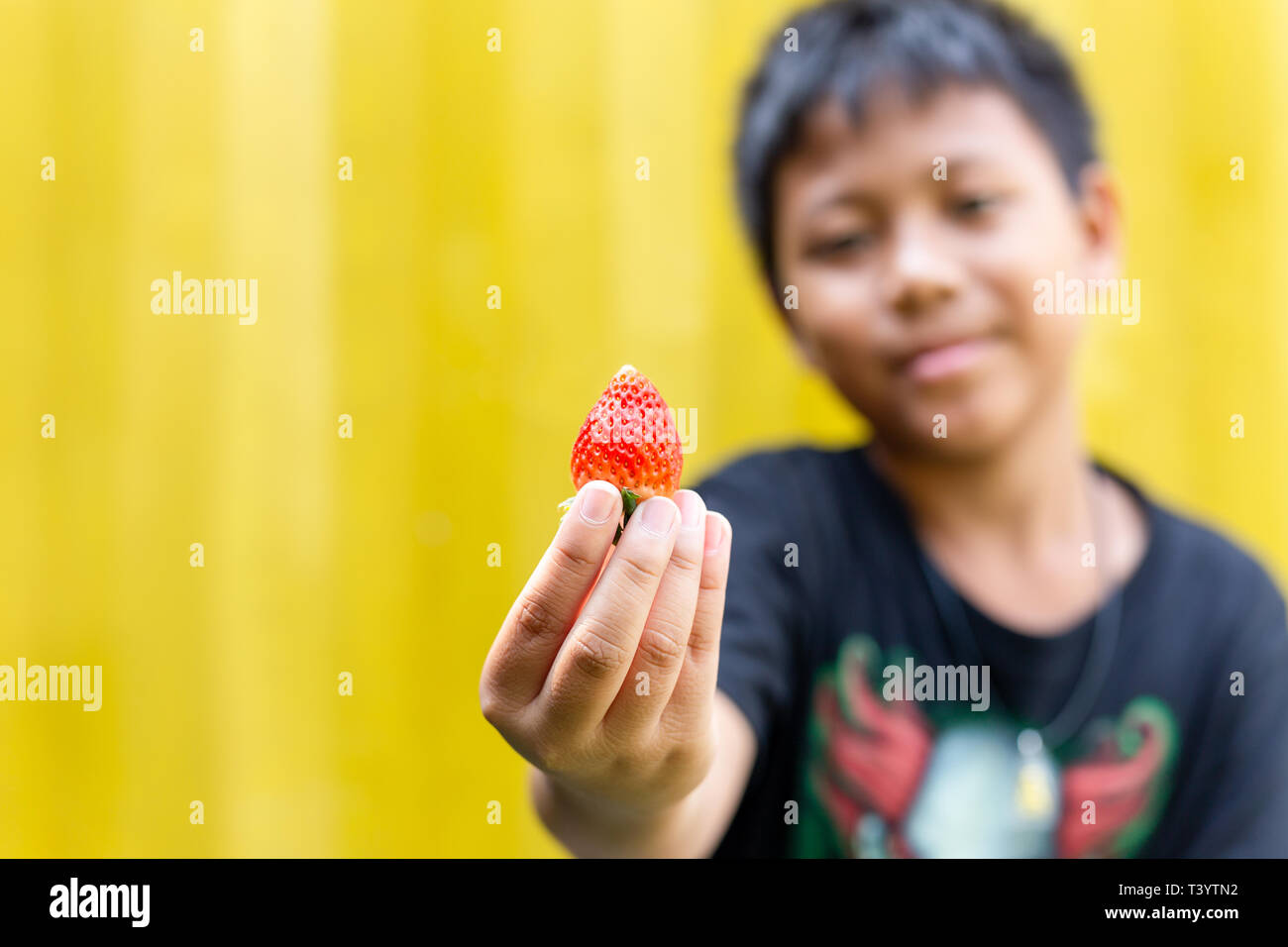 Boy hand holding strawberry isolated in yellow background Stock Photo ...