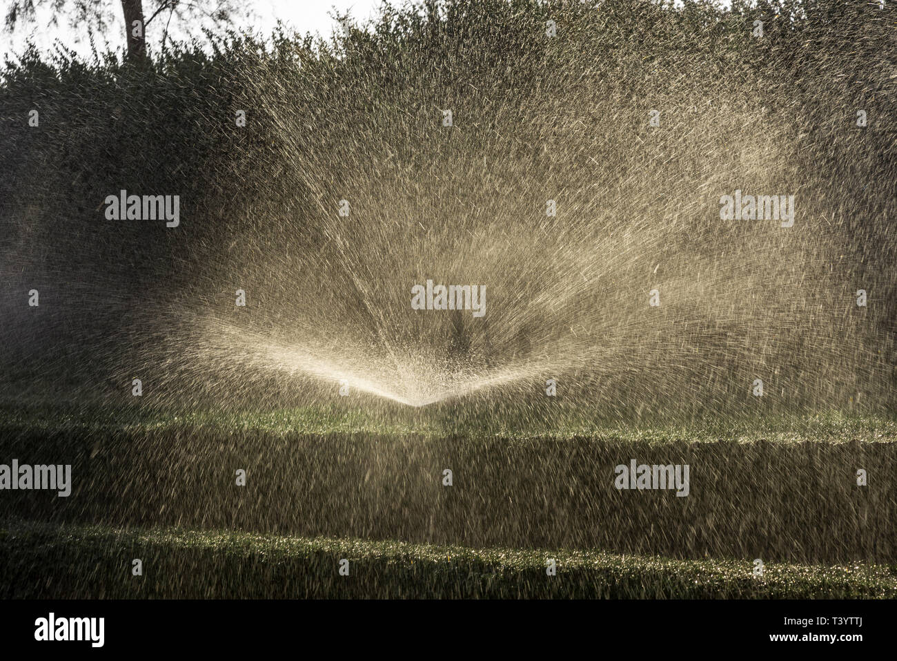 Sprinkler on grass hi-res stock photography and images - Alamy