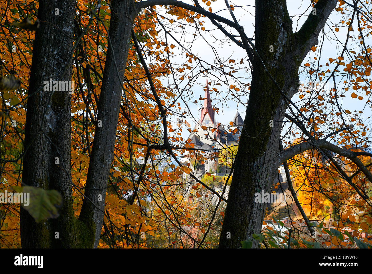 Austria autumn fall foliage hi-res stock photography and images - Alamy