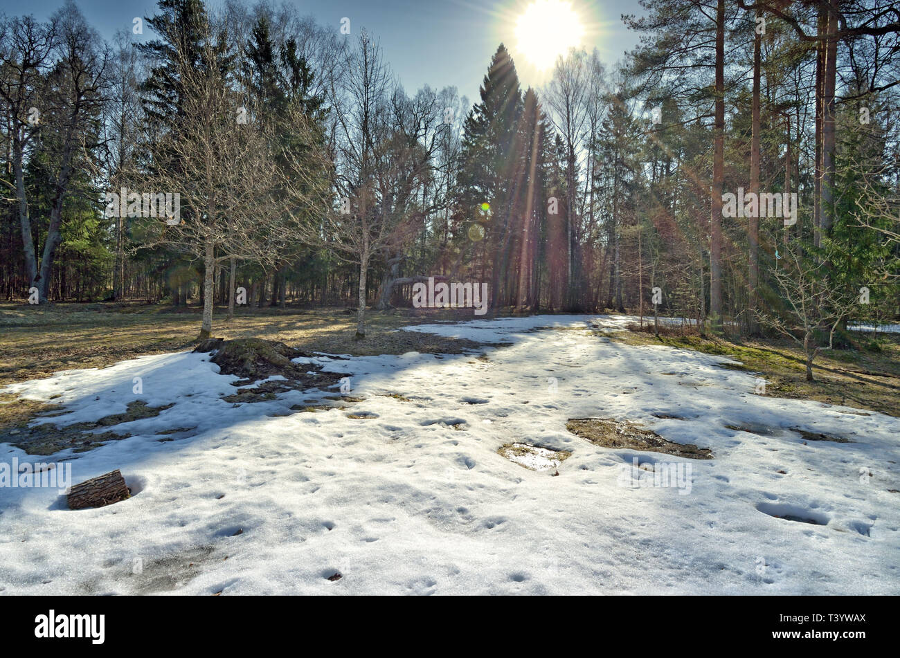 Melt in the sun hi-res stock photography and images - Alamy