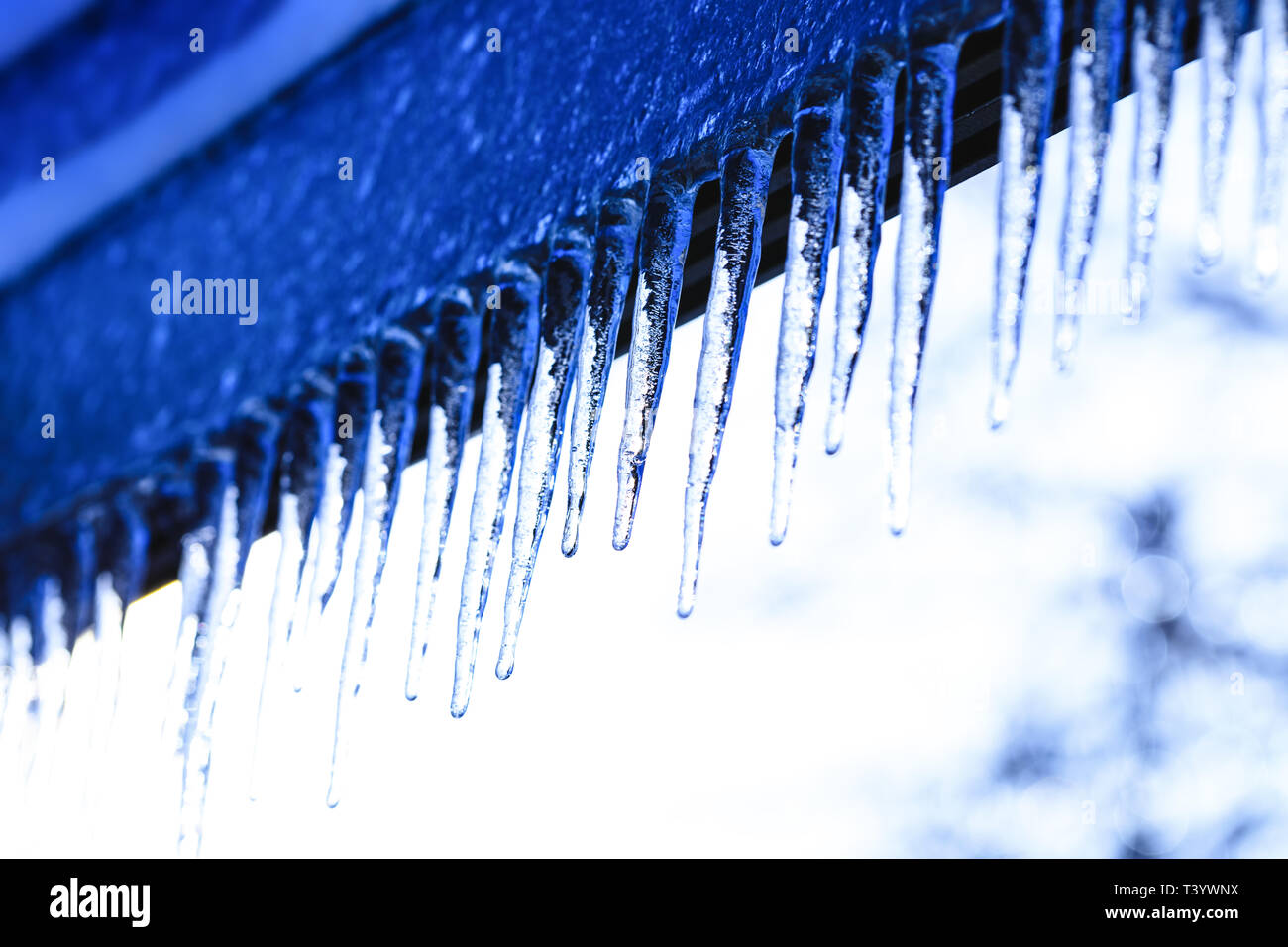 Beautiful picture transparent icicle hi-res stock photography and ...