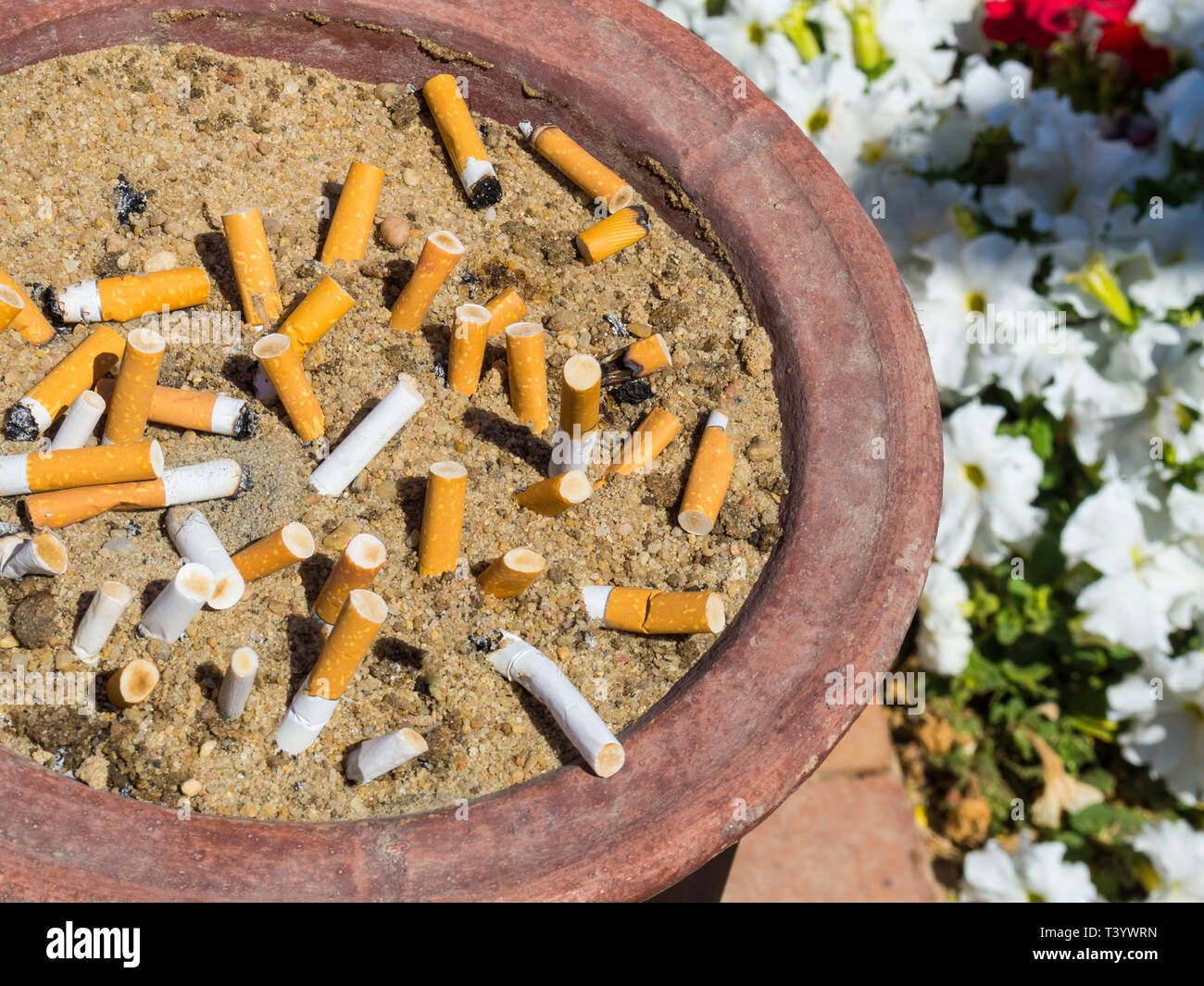 Smoked Cigarettes in the sand ashtray, Stop smoking Concept, unhealthy ...