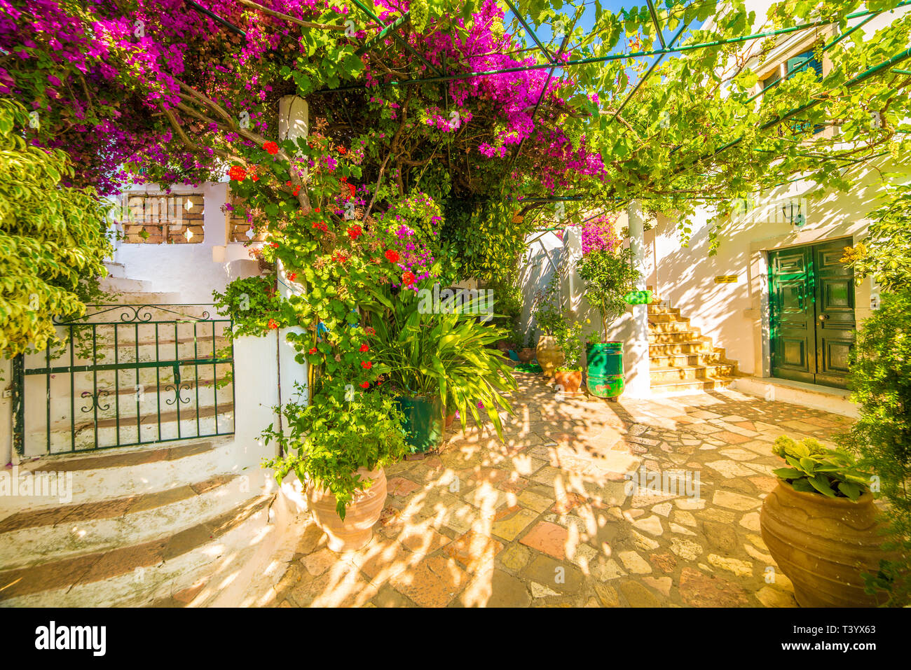 Flower with stairs in Theotokos Monastery, Paleokastritsa town, Corfu ...