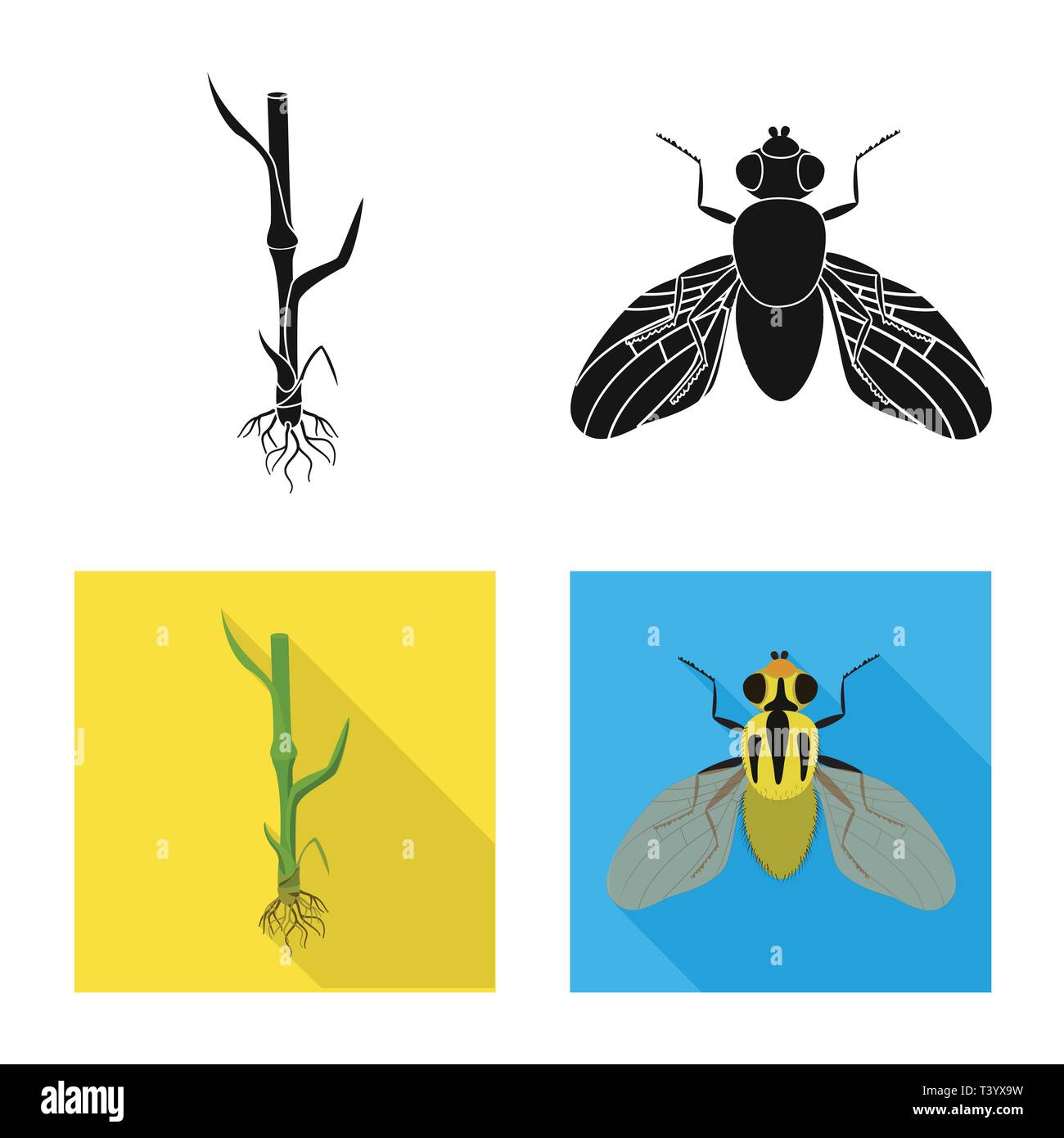 stem,fly,root,insect,pest,soil,control,seed,stop,grow,wings,cycle ...