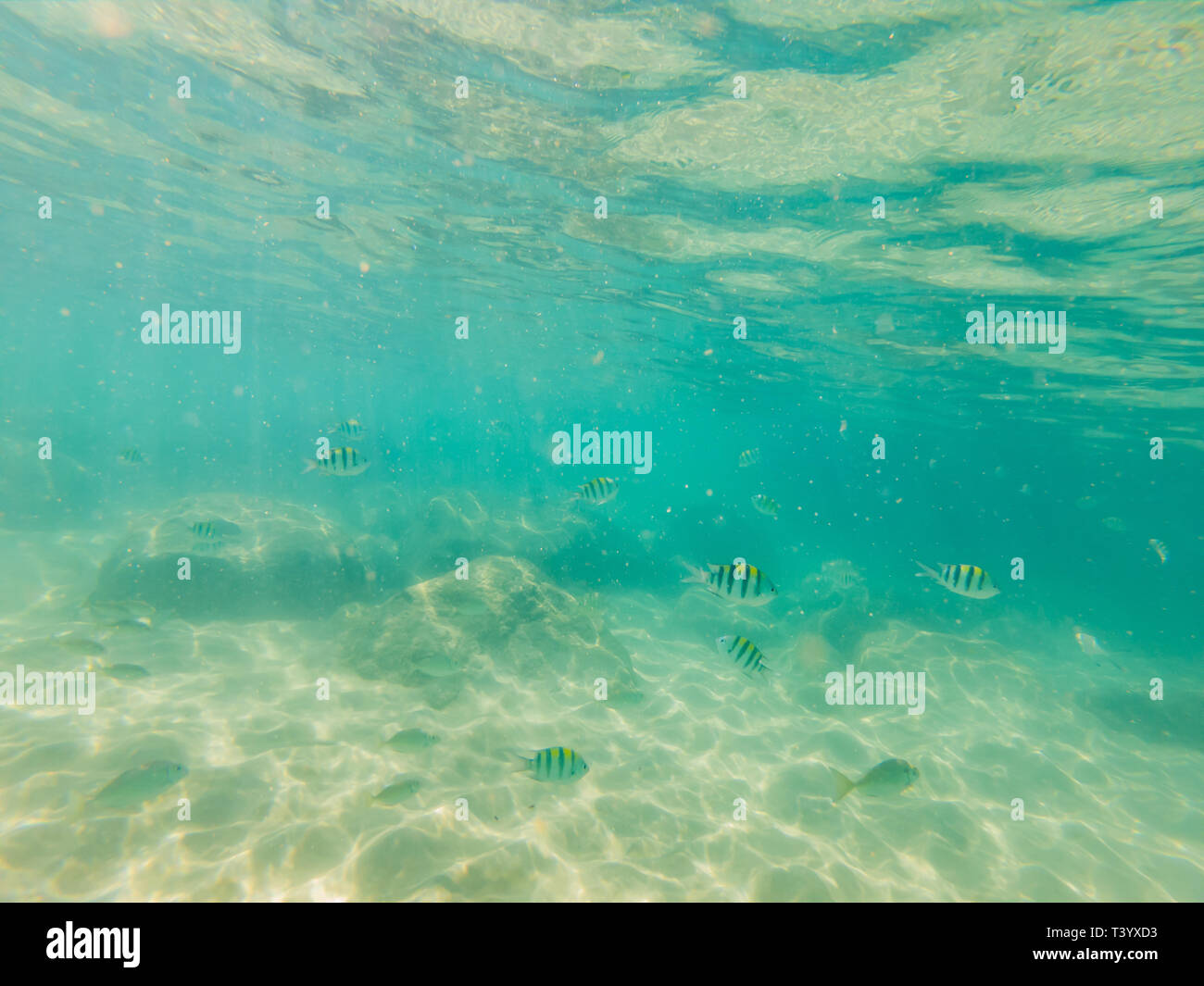 Salt scar hi-res stock photography and images - Alamy