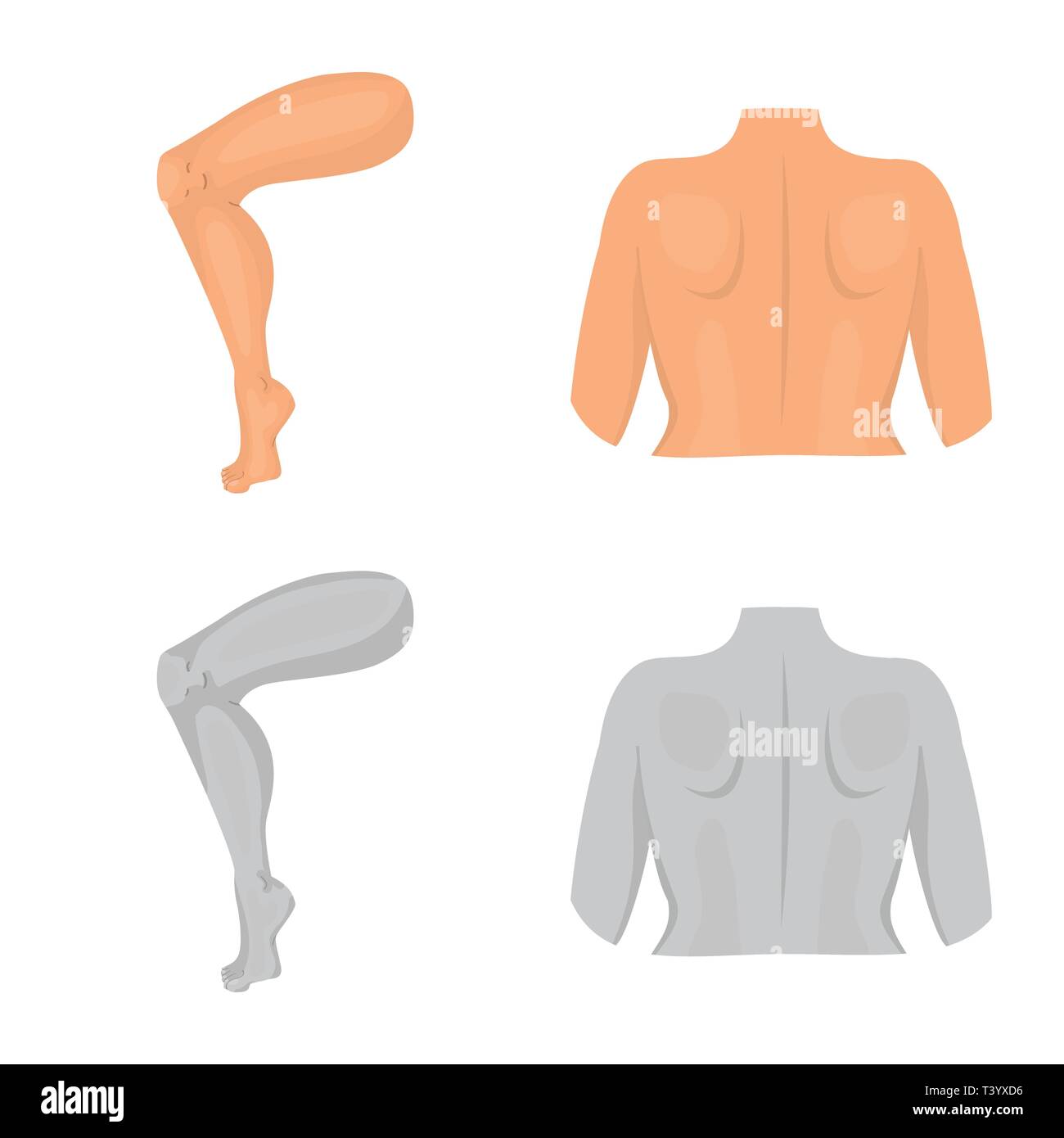Vector design of body and part icon. Collection of body and anatomy ...