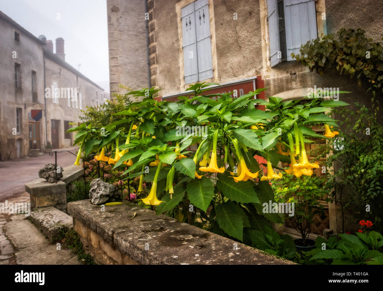 The village of Flavigny-sur-Ozerain in France Stock Photo - Alamy