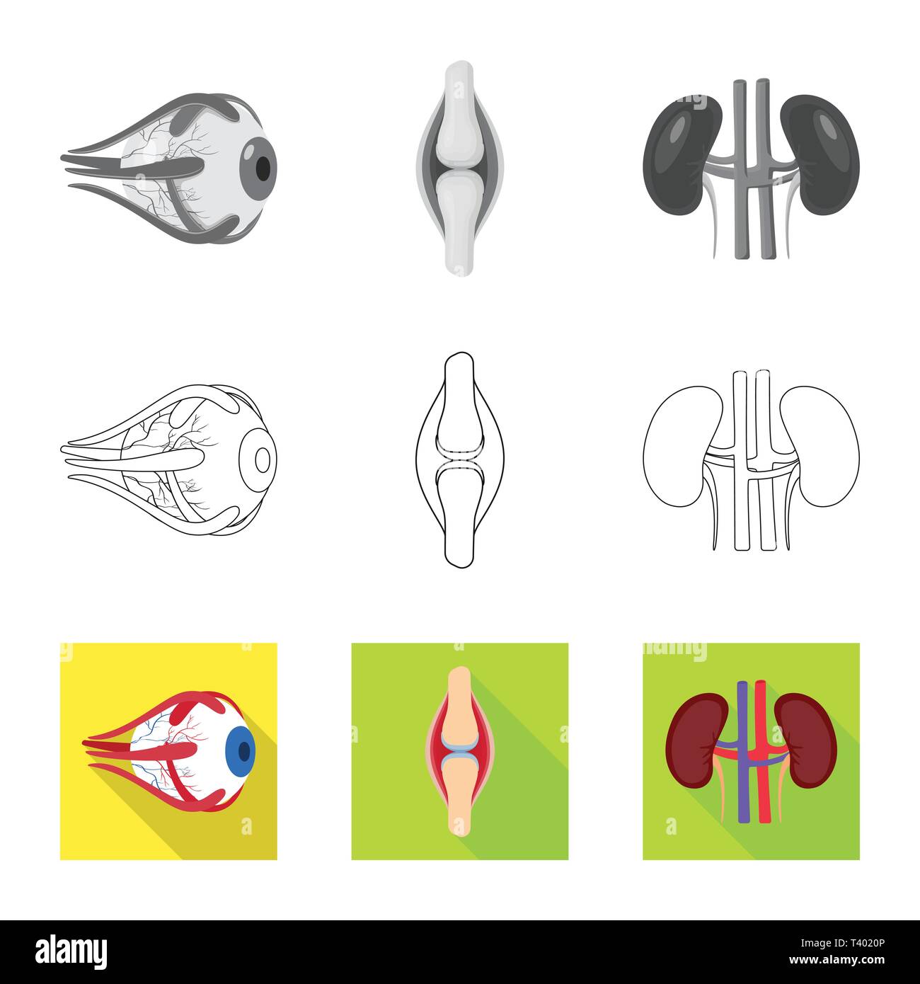 Vector illustration of biology and scientific logo. Set of biology and ...
