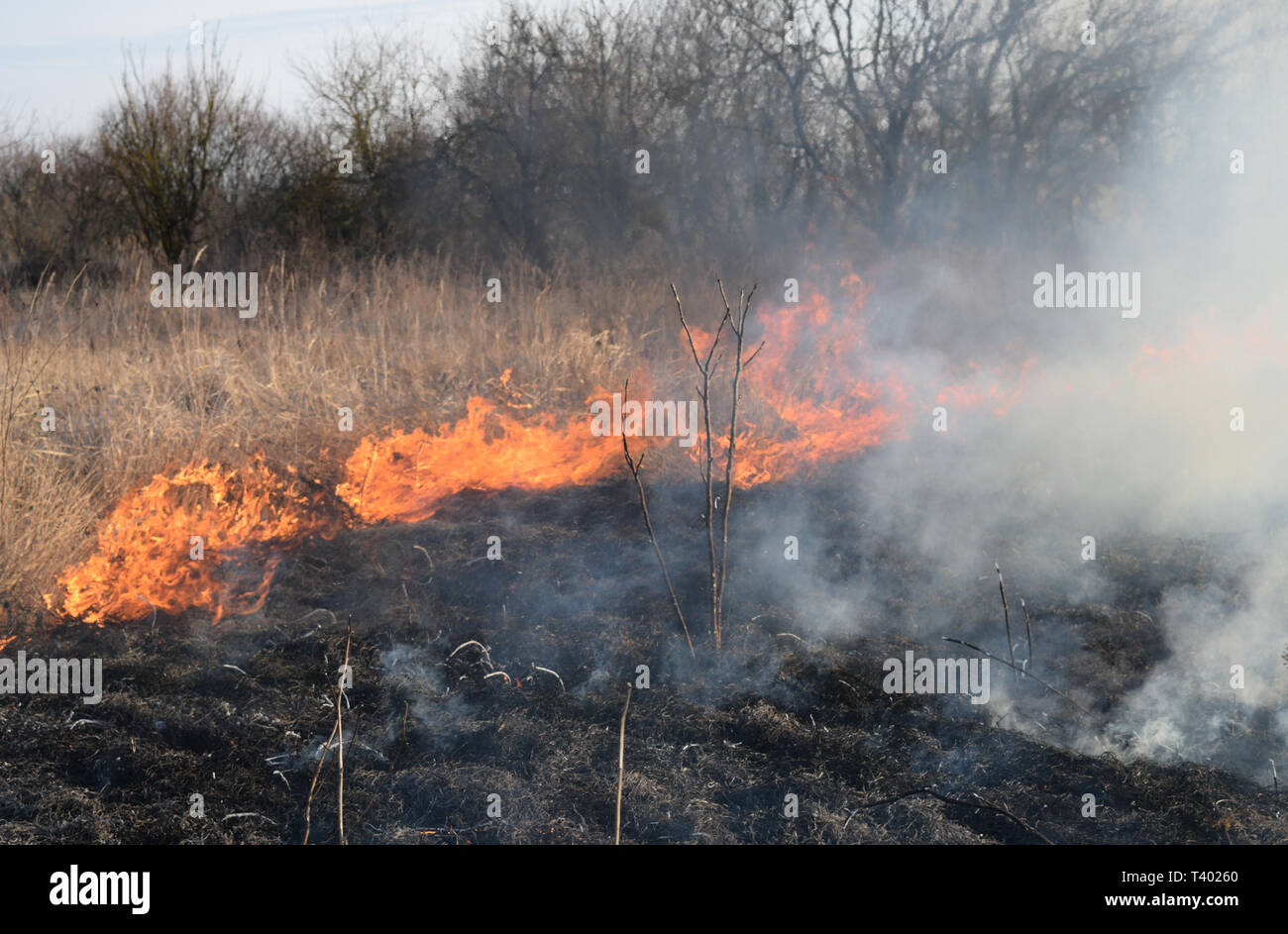 Ditch of blood hi-res stock photography and images - Alamy