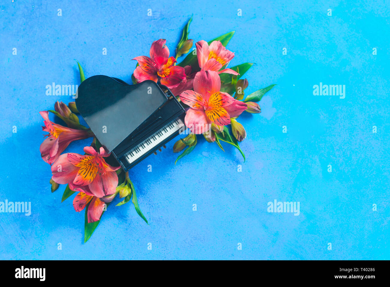 Alstroemeria flowers hi-res stock photography and images - Alamy