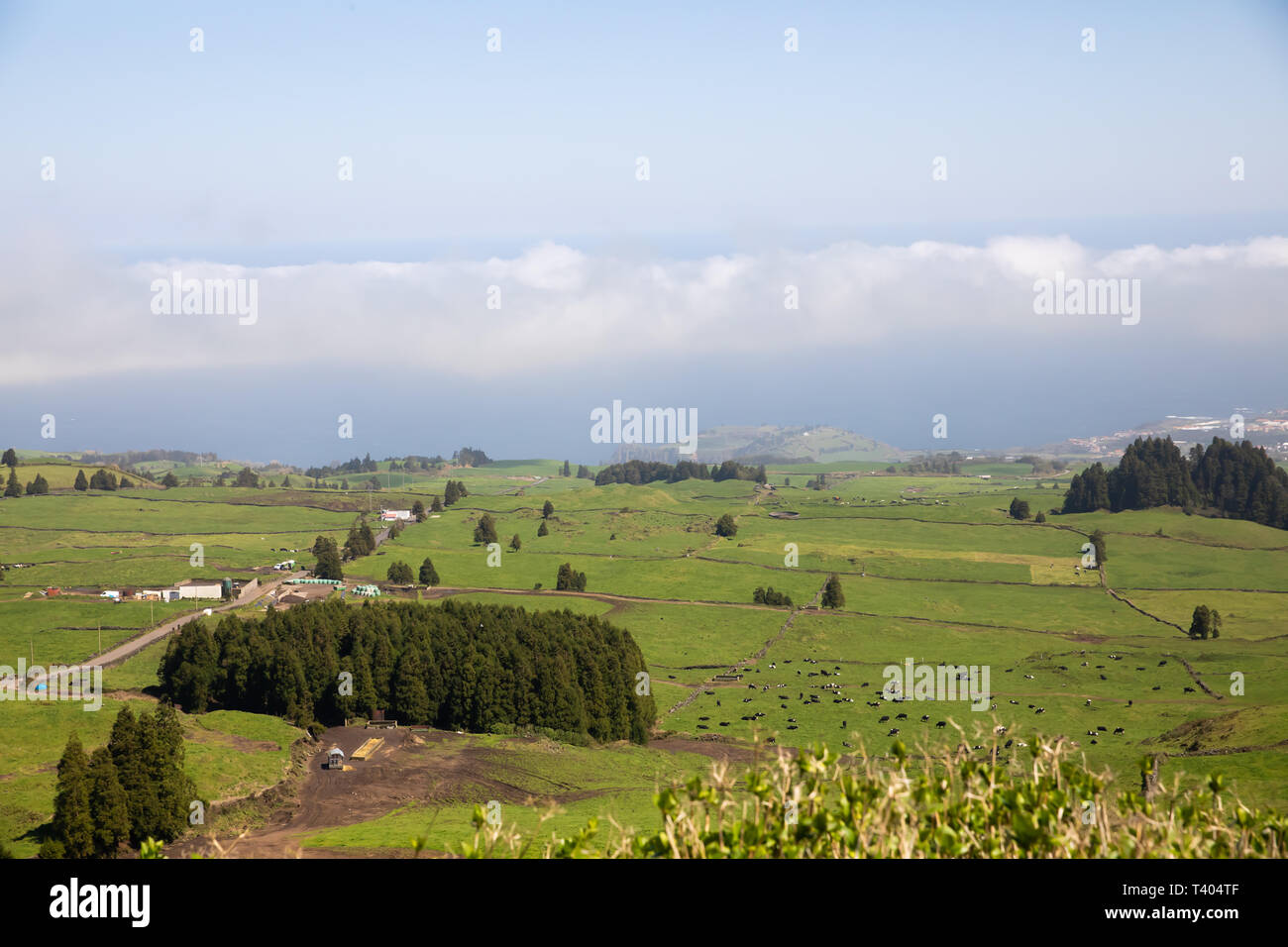 Scenic view of fields covering volcanos in The Azores Stock Photo - Alamy
