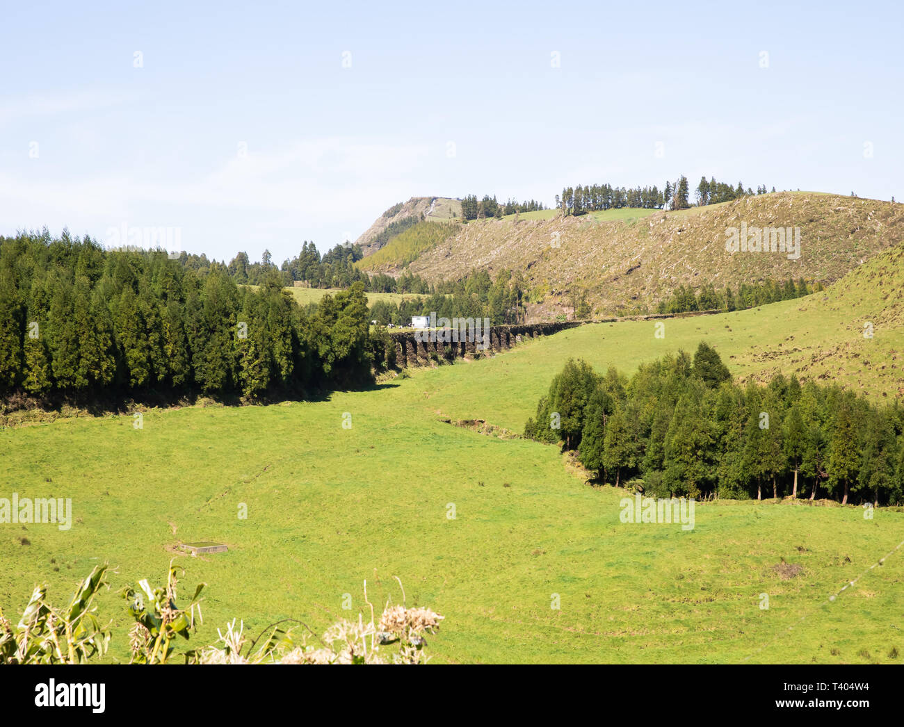Scenic view of fields covering volcanos in The Azores Stock Photo - Alamy